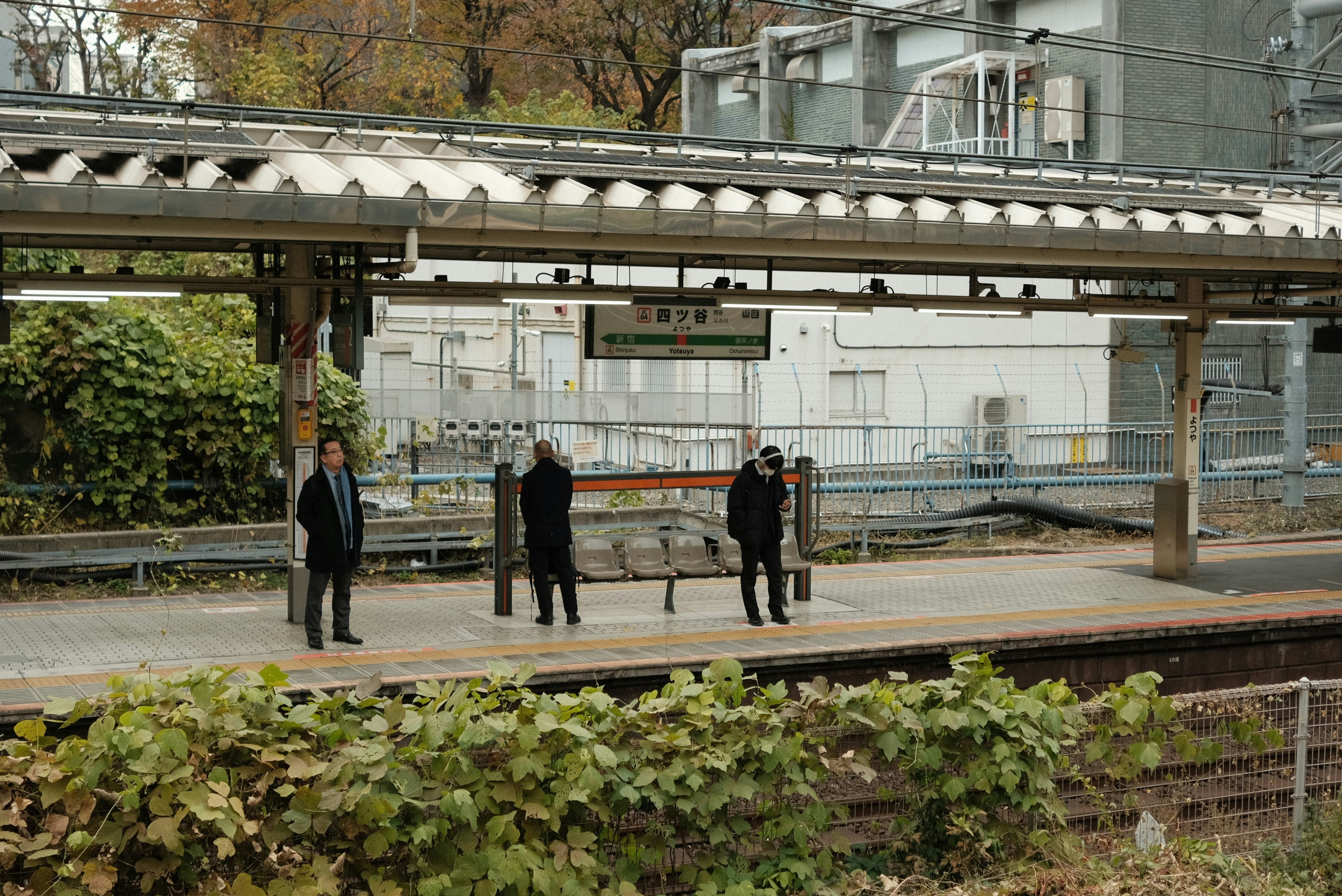 Platform Portrait: Four Figures Framed by Rails and Foliage