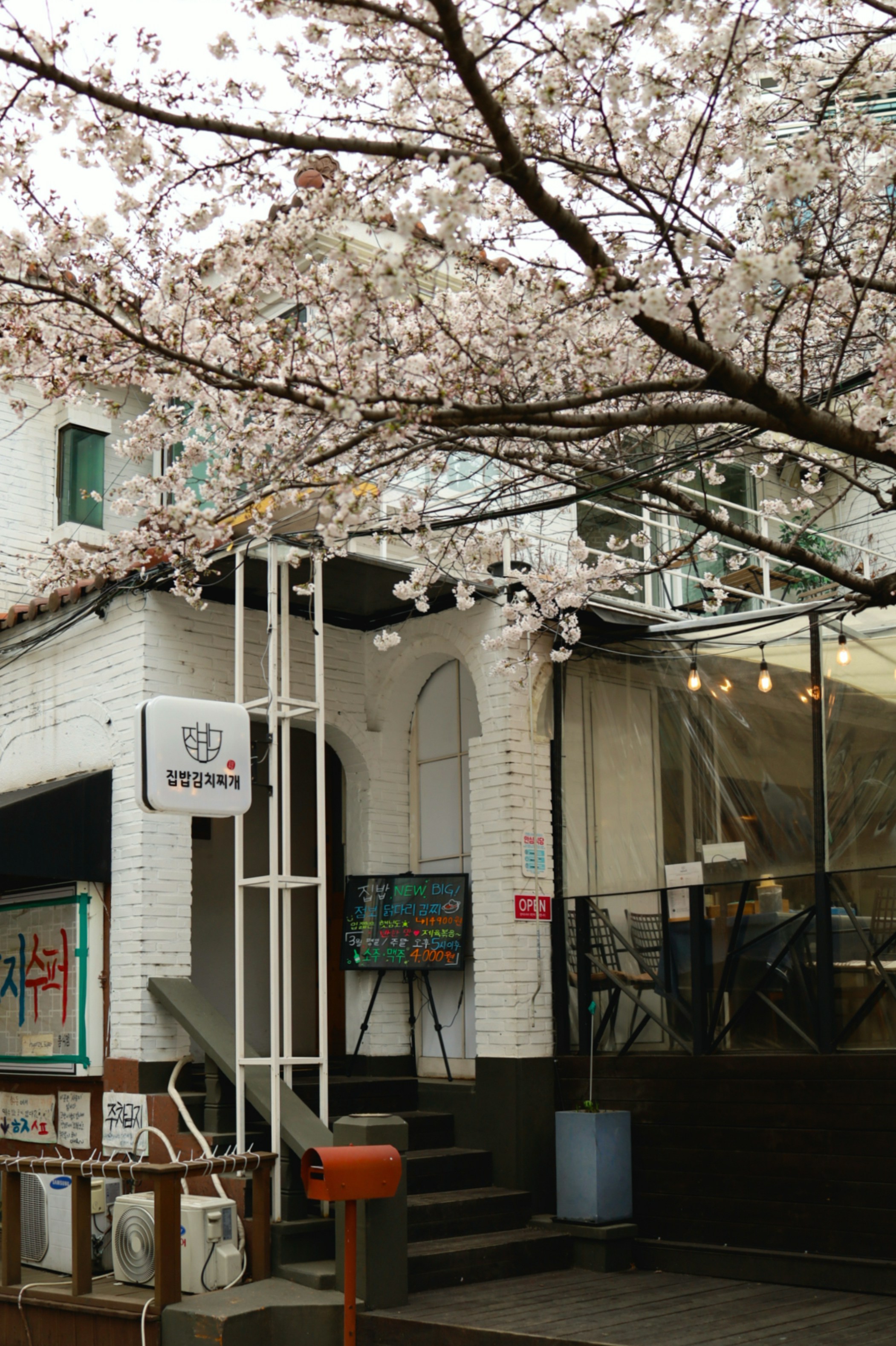 Photo by Evgeniya Pron with Canon EOS RP