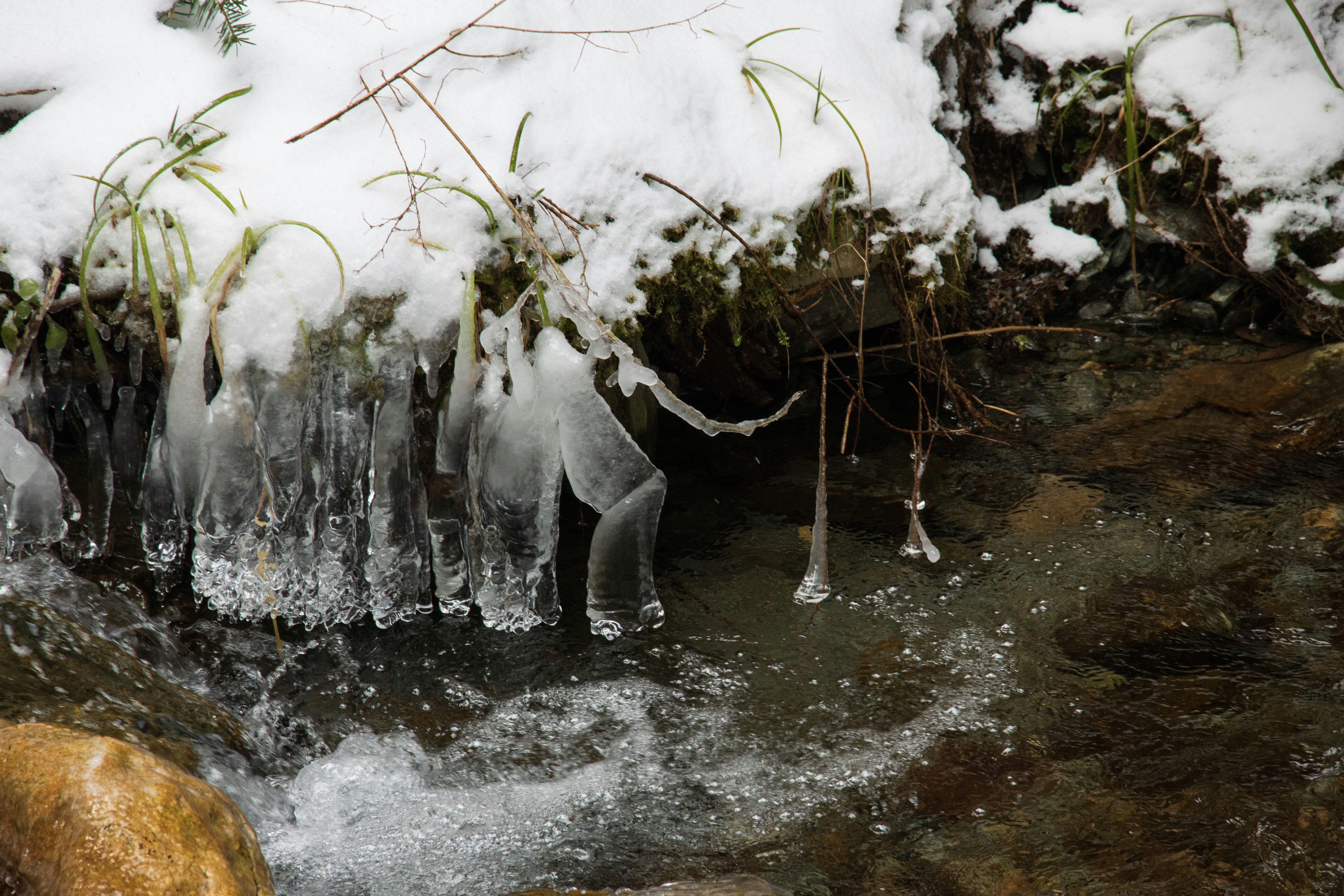 A stream running through a forest covered in snow photo – Free Predeal ...