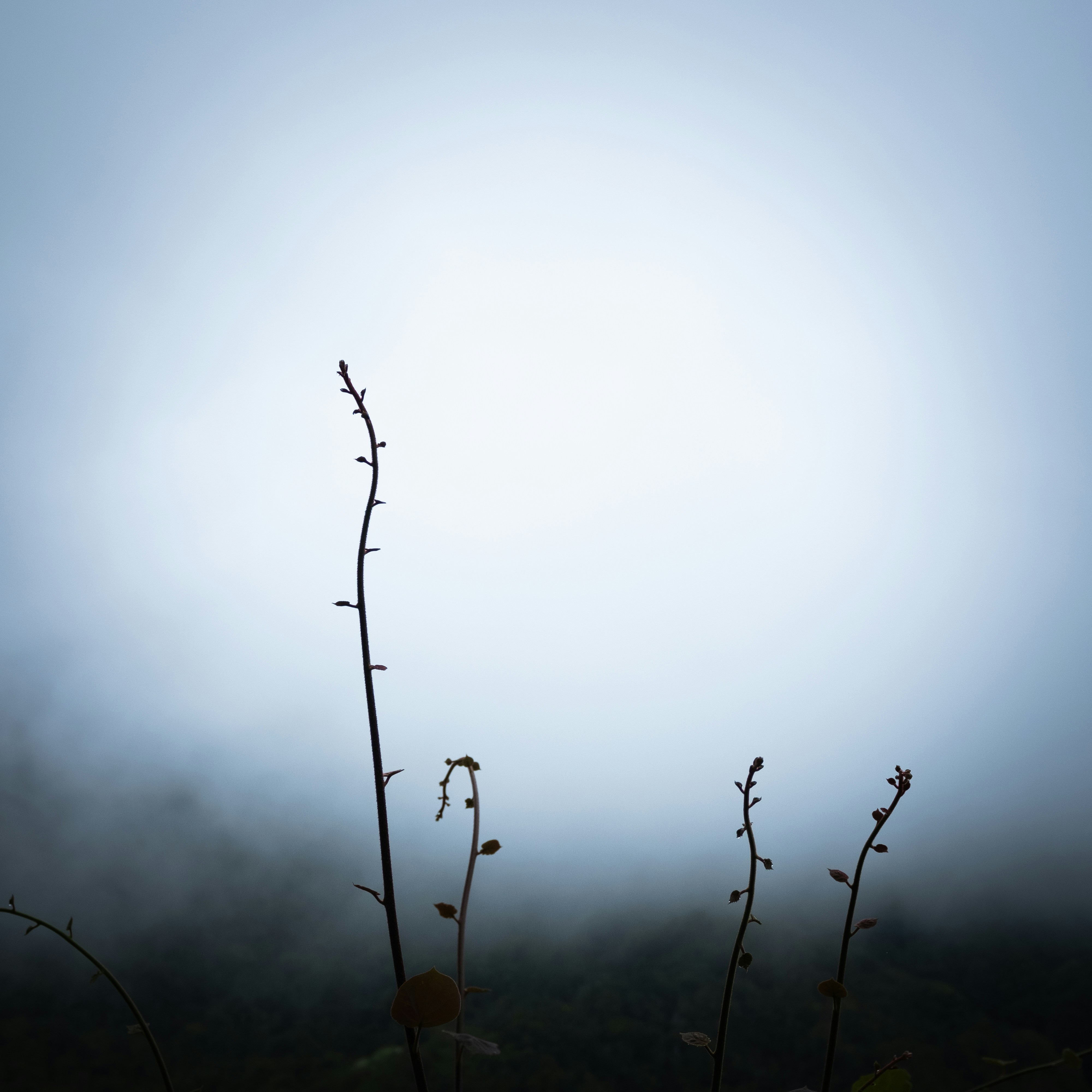 Photo by Bernard Hermant with Fujifilm X100F