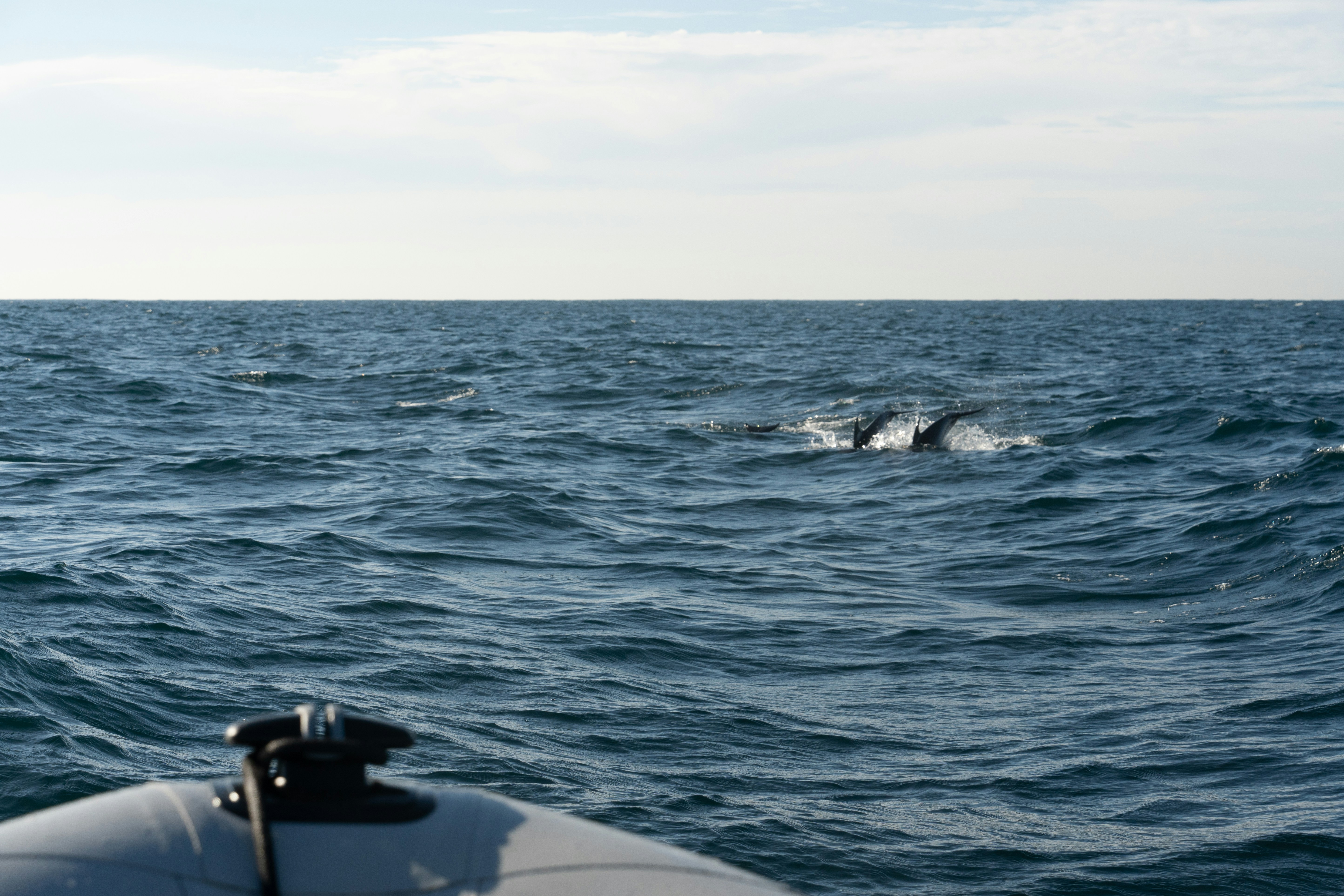 Un bateau au milieu d’un grand plan d’eau photo – Image gratuite de ...