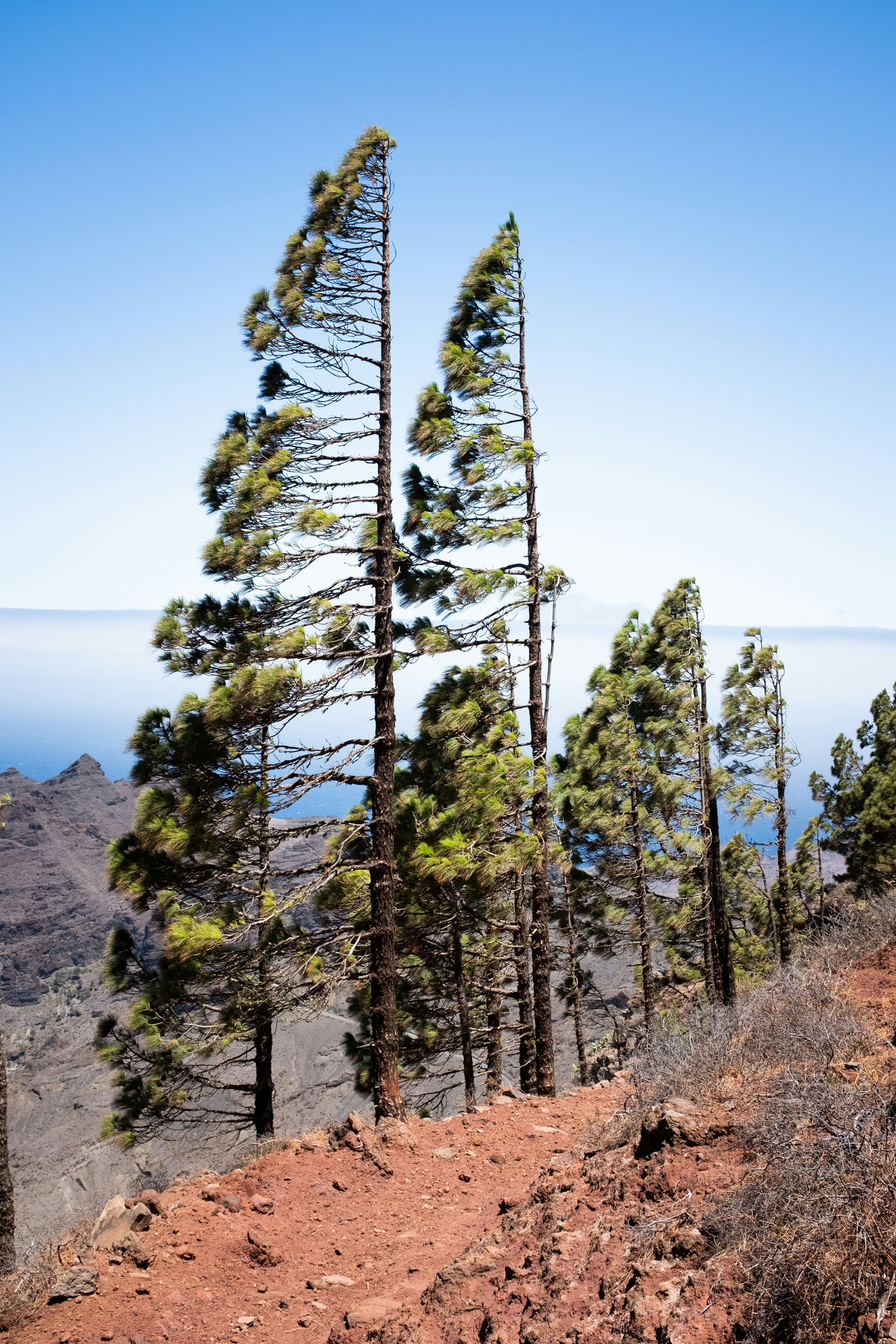 Photo by Bernard Hermant with Fujifilm X100F