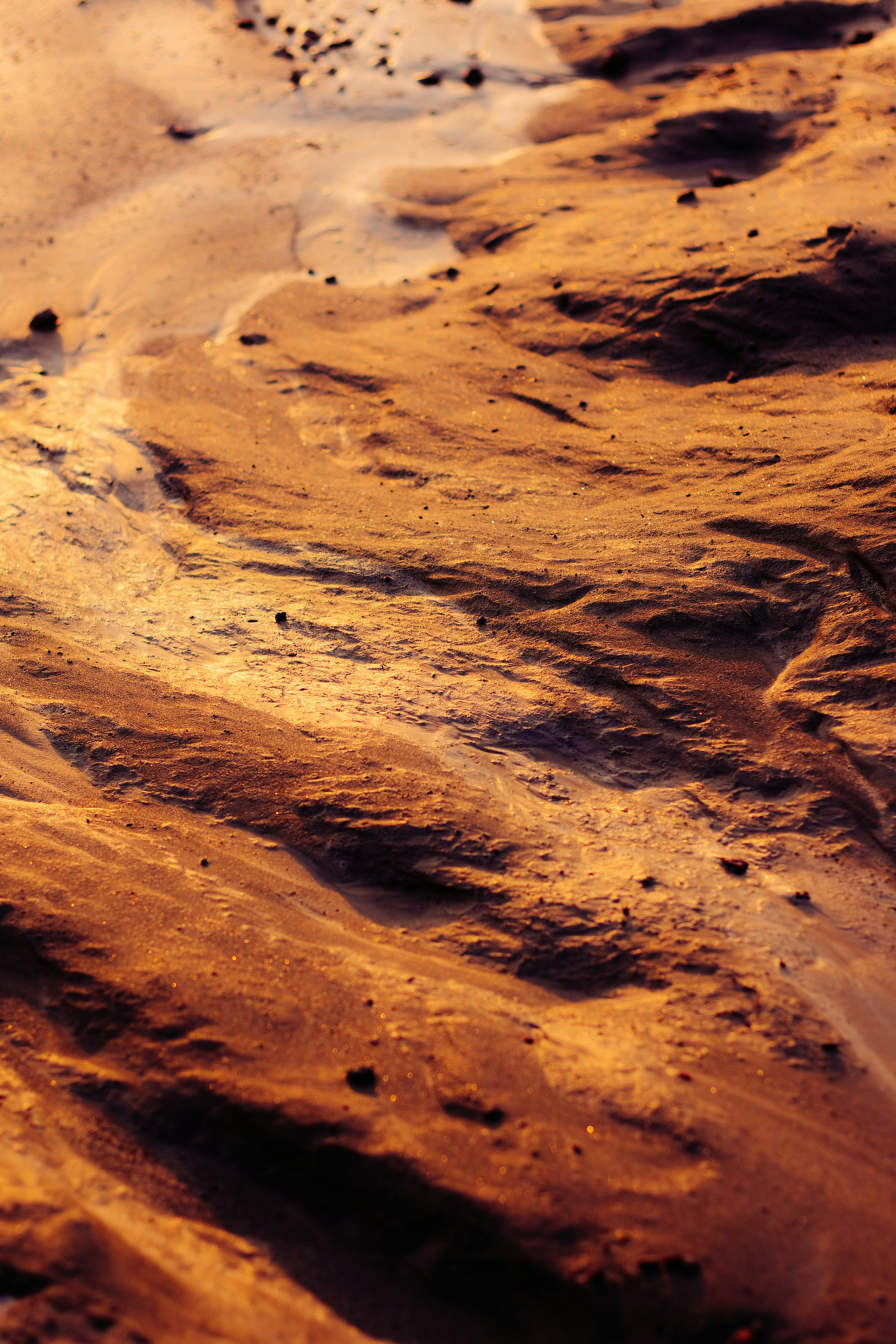 Close-up of Wet Sand