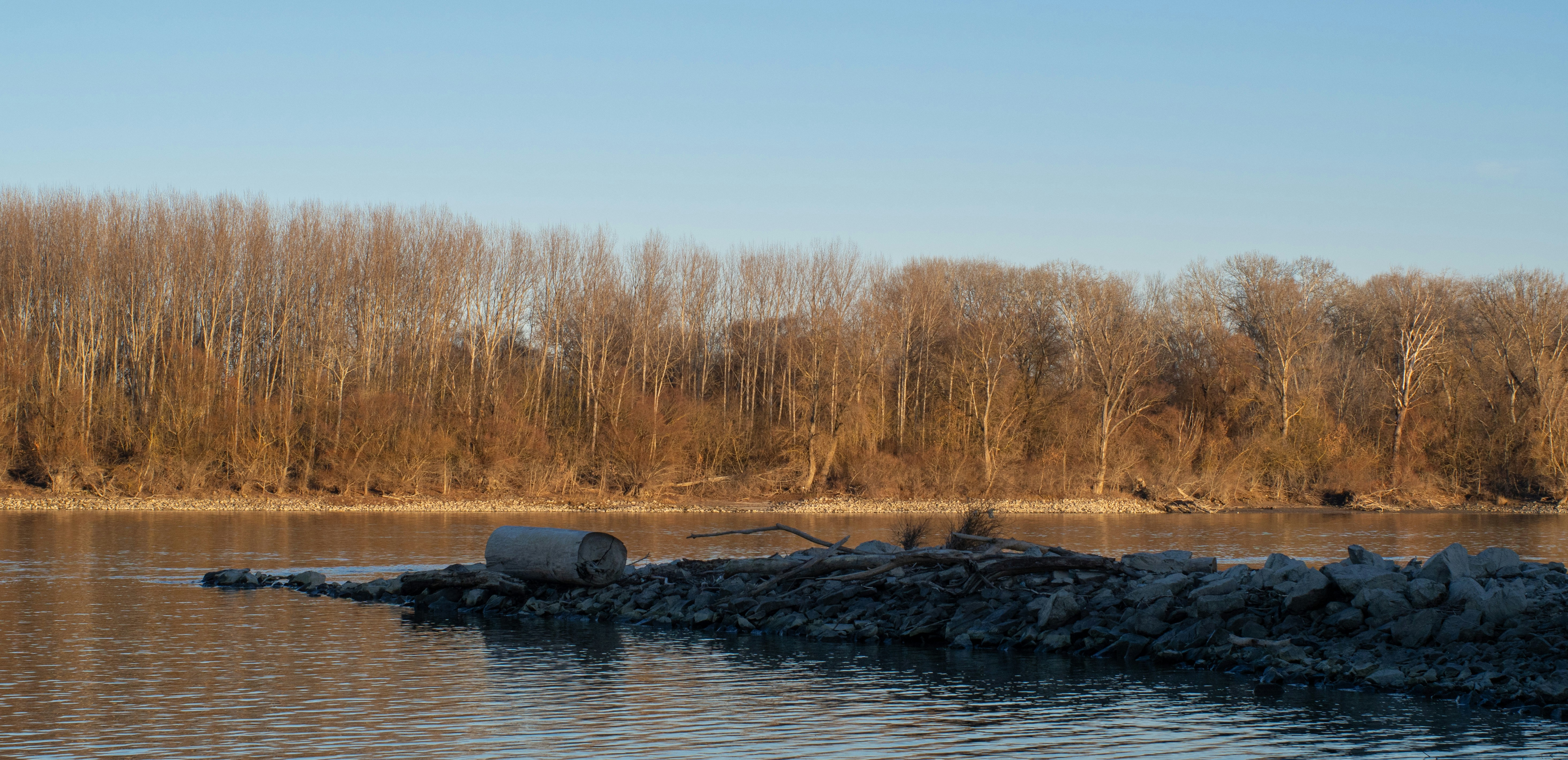 Calm river reflecting a line of bare trees under a clear blue sky.