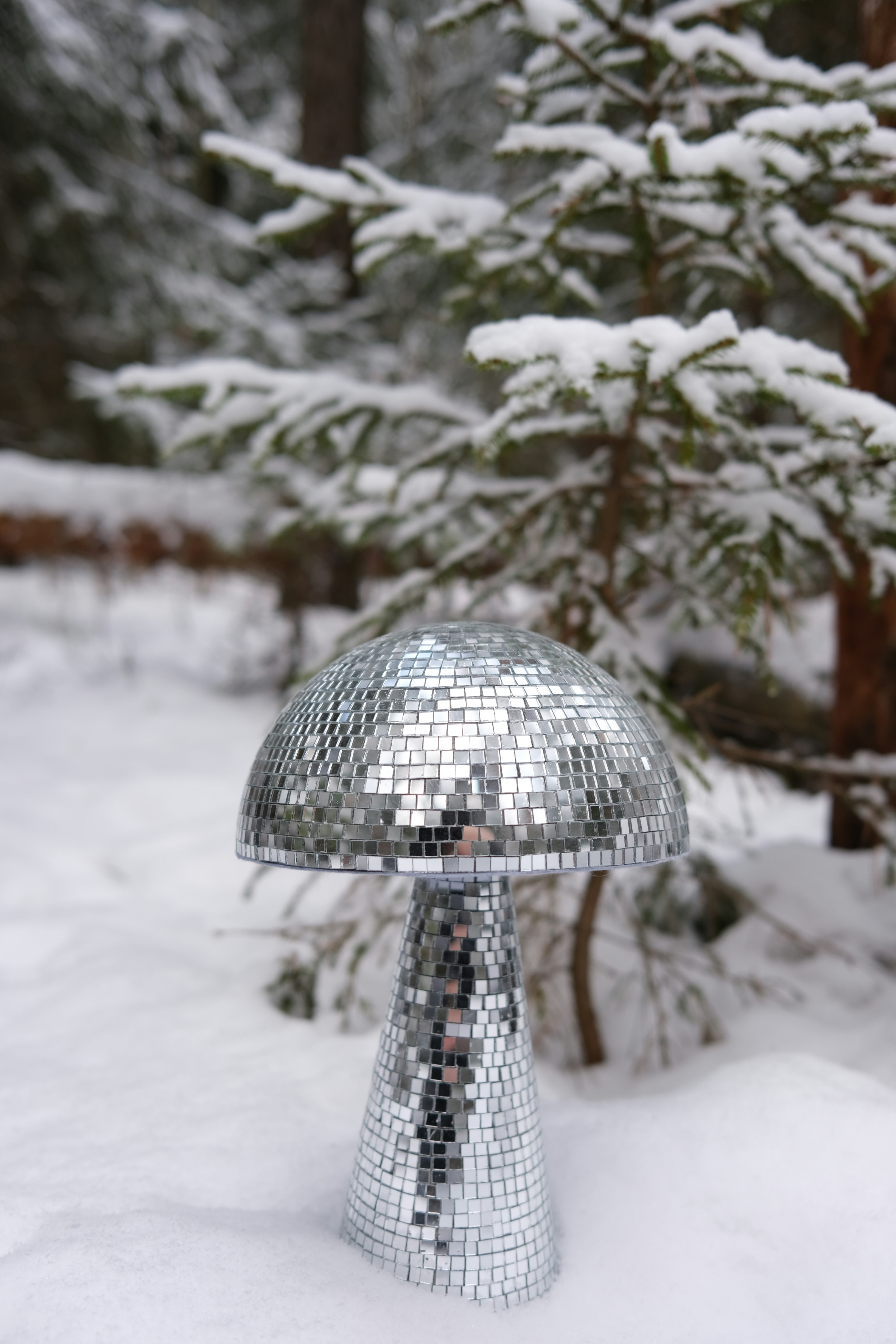 Snow-Cooled Mosaic Mushroom: A Reflective Sculpture in a Quiet Forest