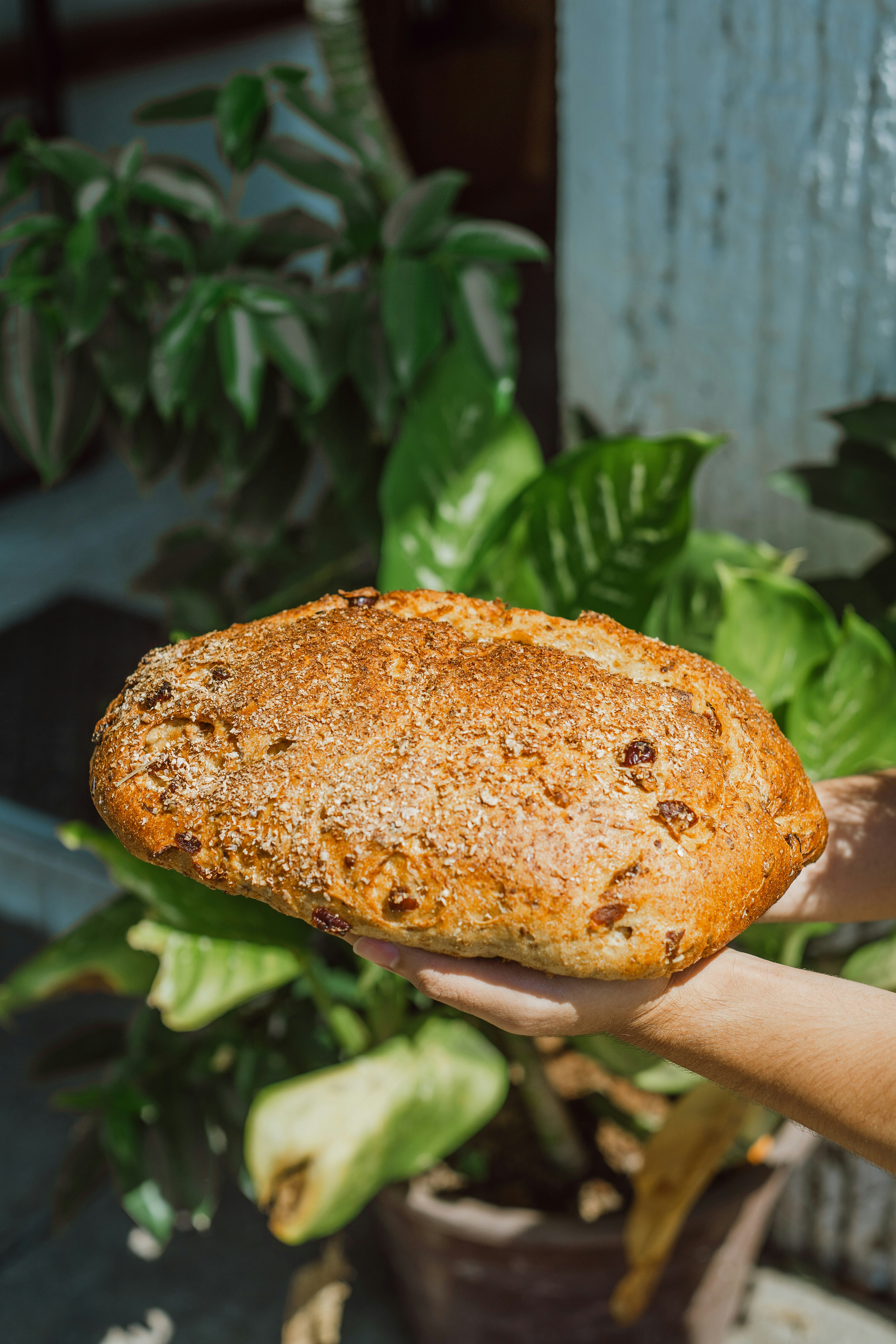 A person holding a piece of bread in their hand photo – Free Food Image ...