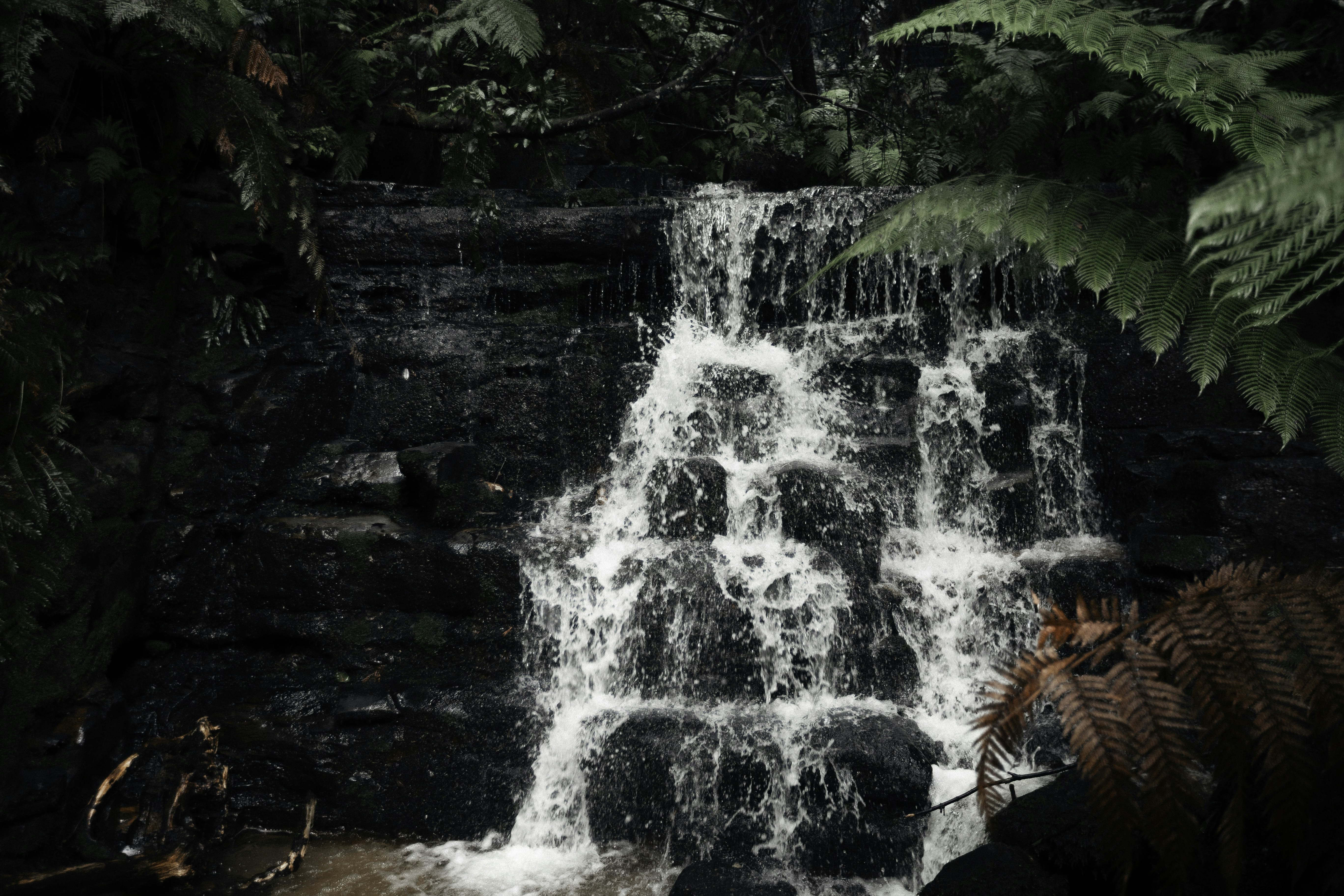 A small waterfall in the middle of a forest photo – Free Land Image on ...