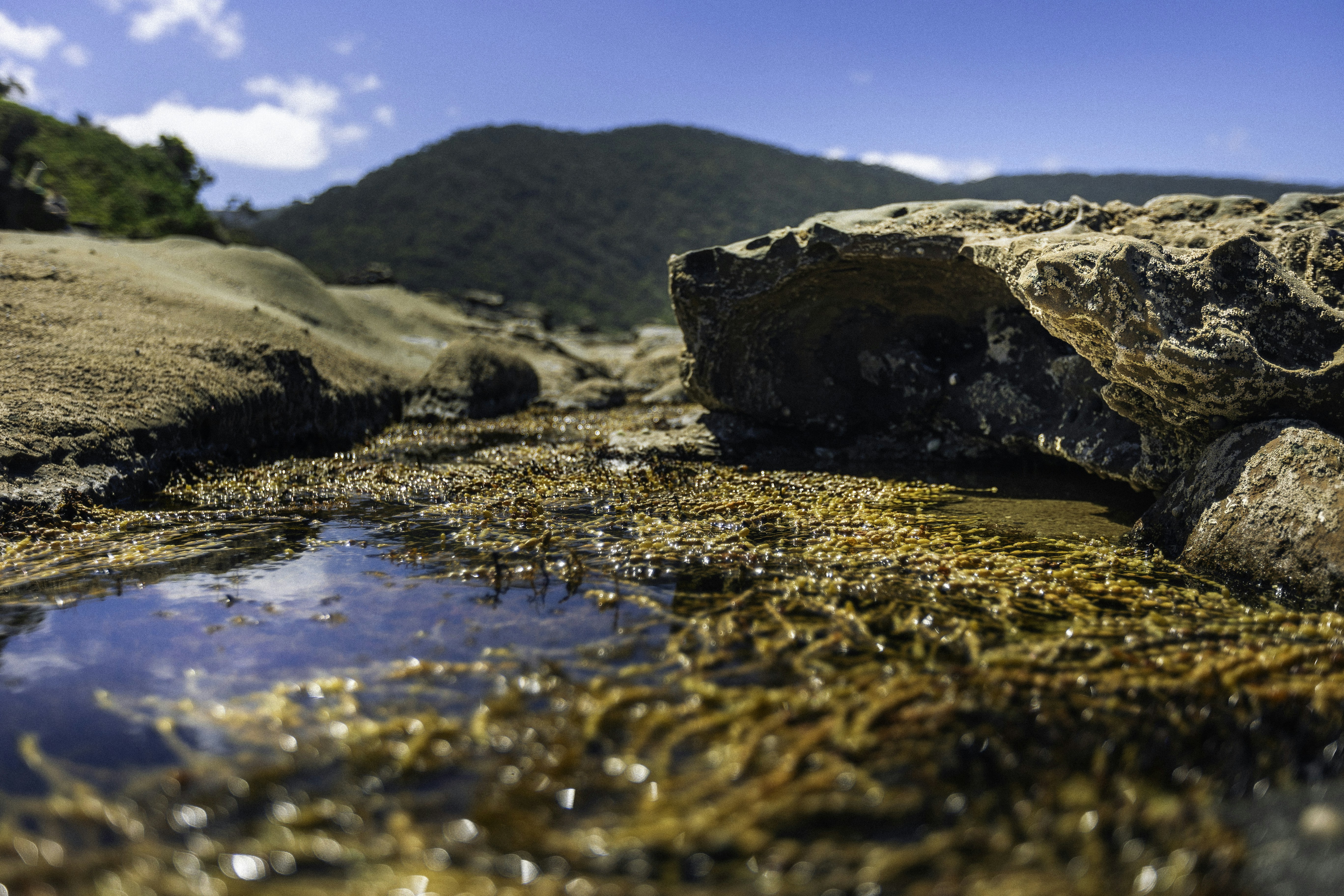 A small pool of water surrounded by rocks and seaweed photo – Free Rock ...