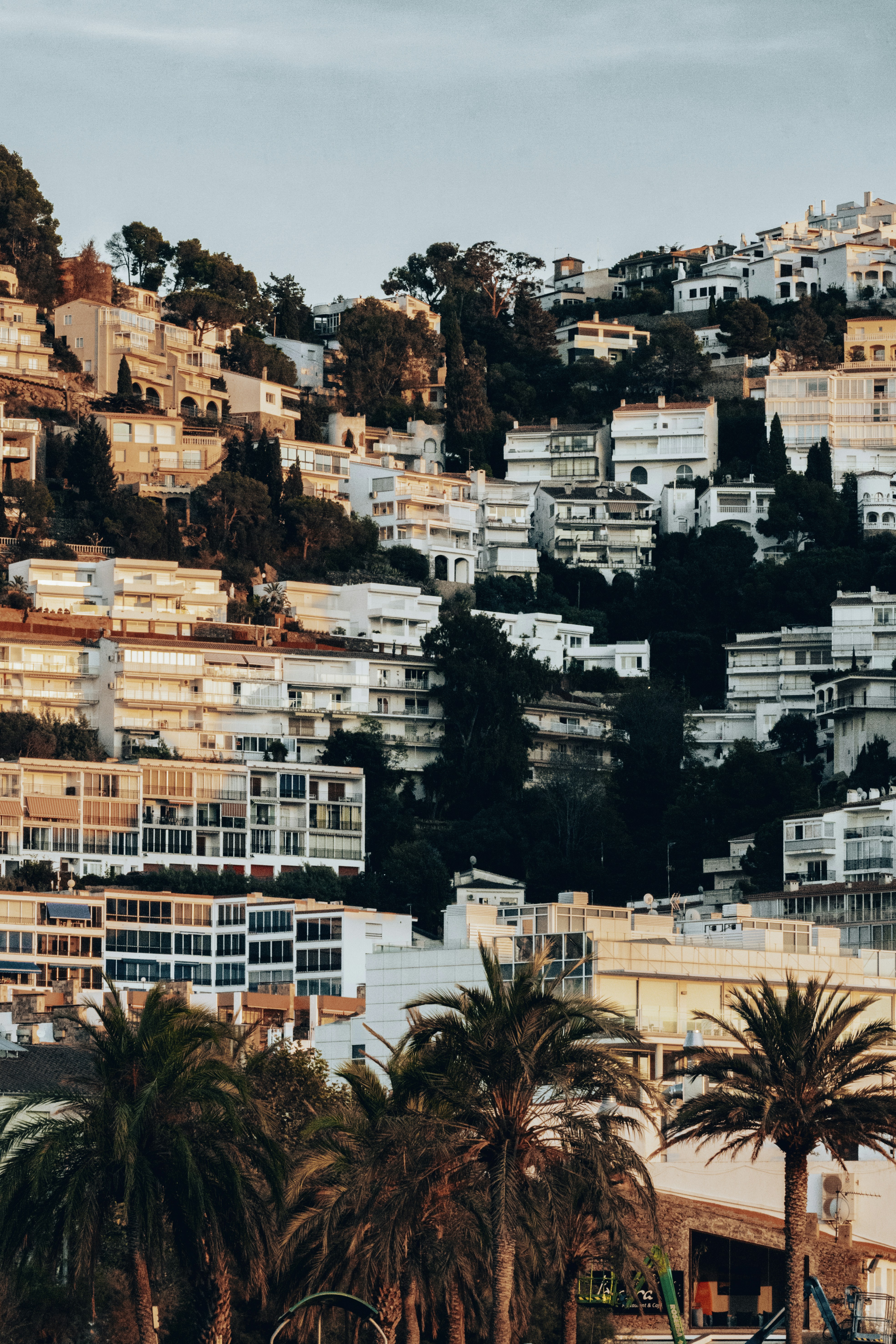 Terraced White Village Cascades: Palm-Framed Mediterranean Ridge