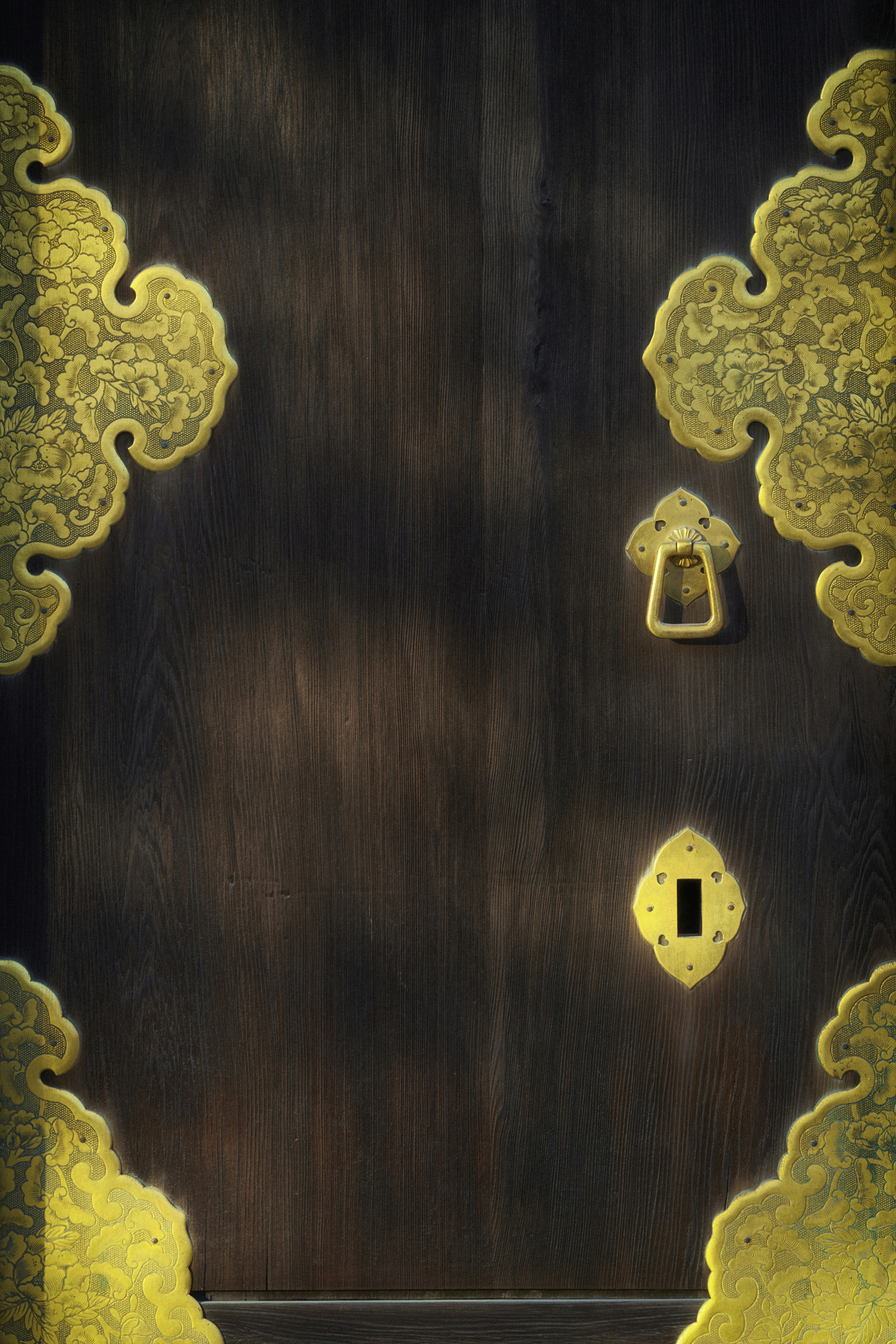 Gilded Threshold: Brass Ornaments Framing a Weathered Door