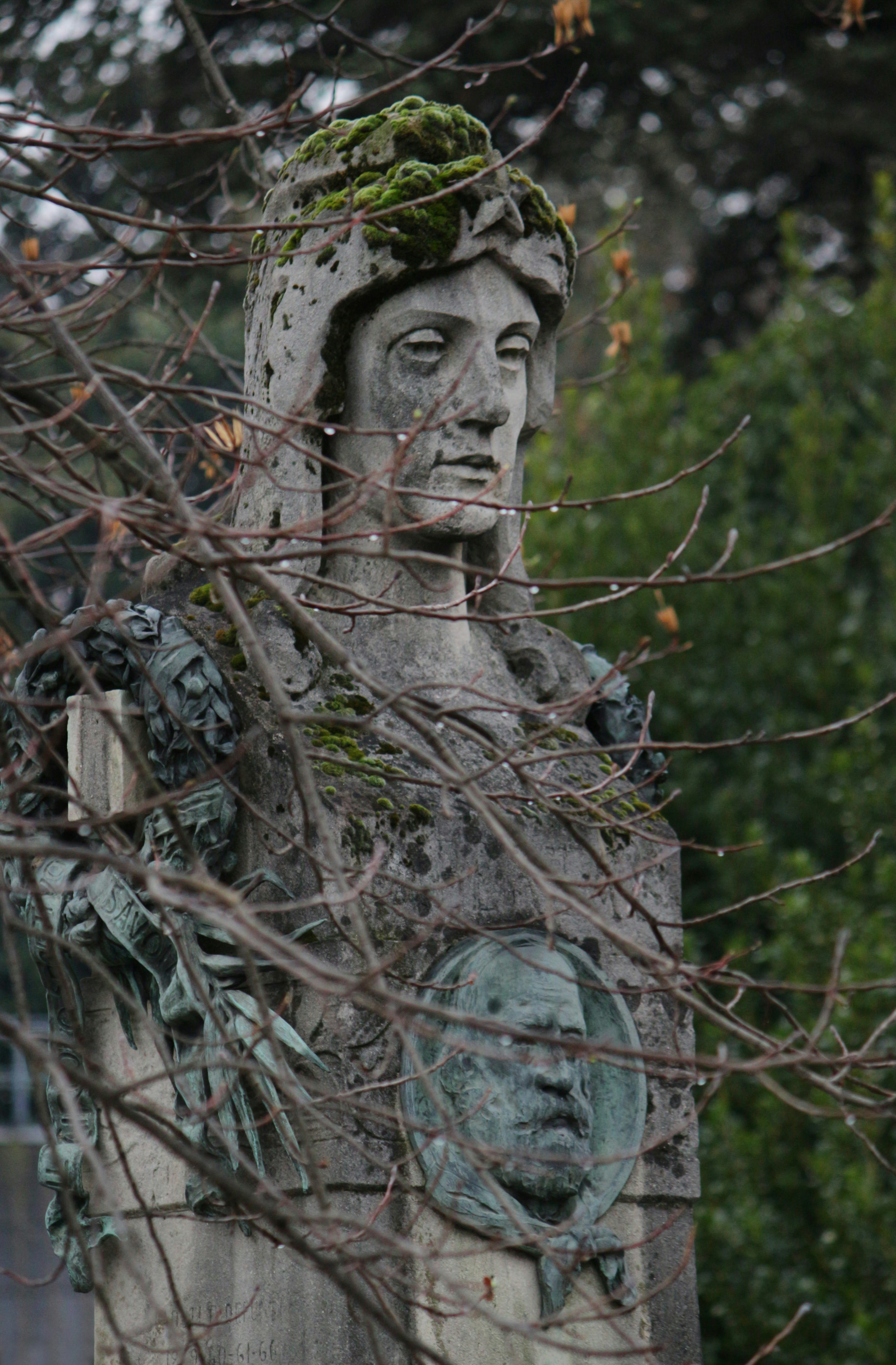 Moss-Crowned Statue Peeking Through a Web of Bare Branches