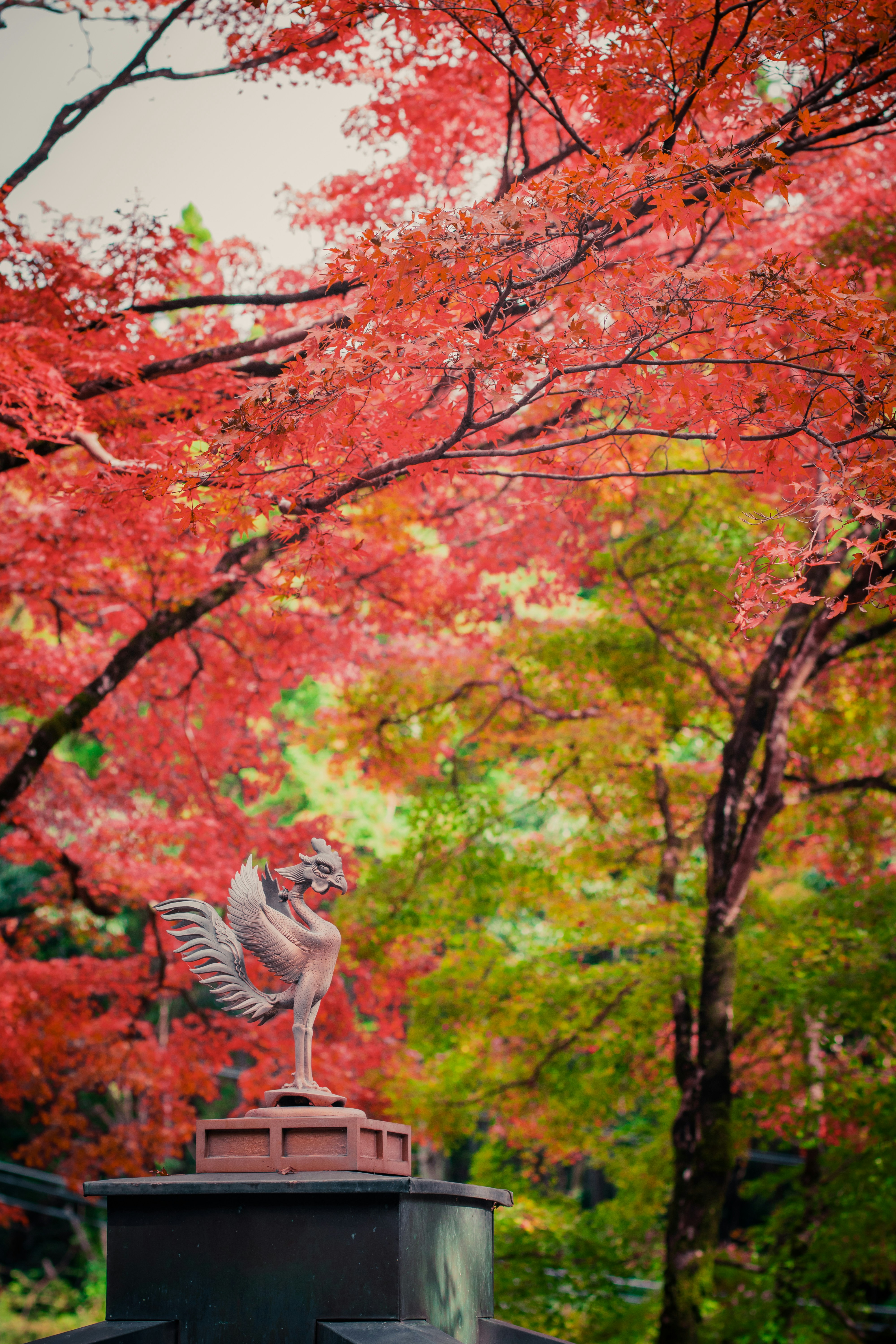 Autumn Maiden: A Feathery Carillon Surfaces beneath Crimson Canopy