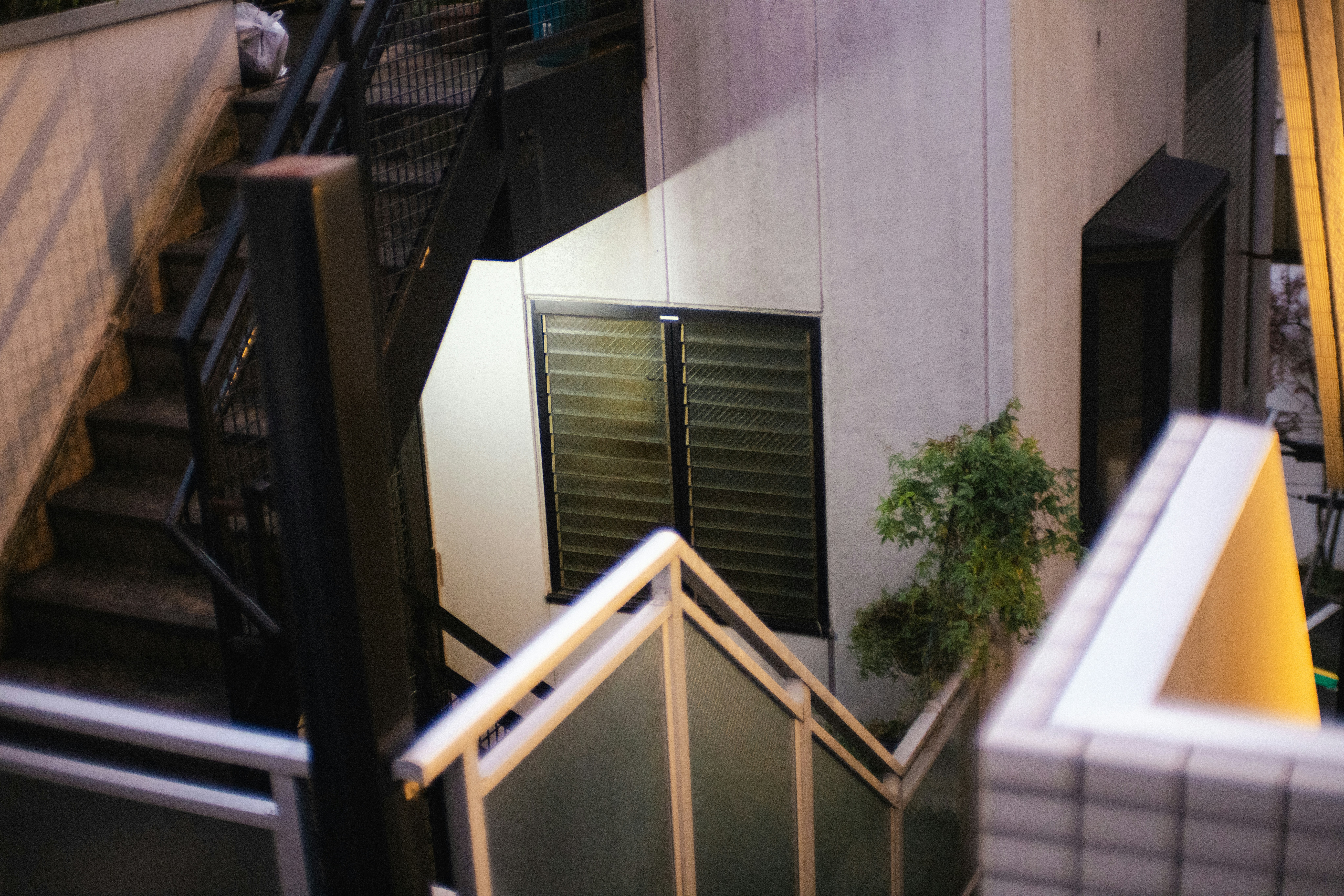 Photo by Jason Leung with Canon EOS R5