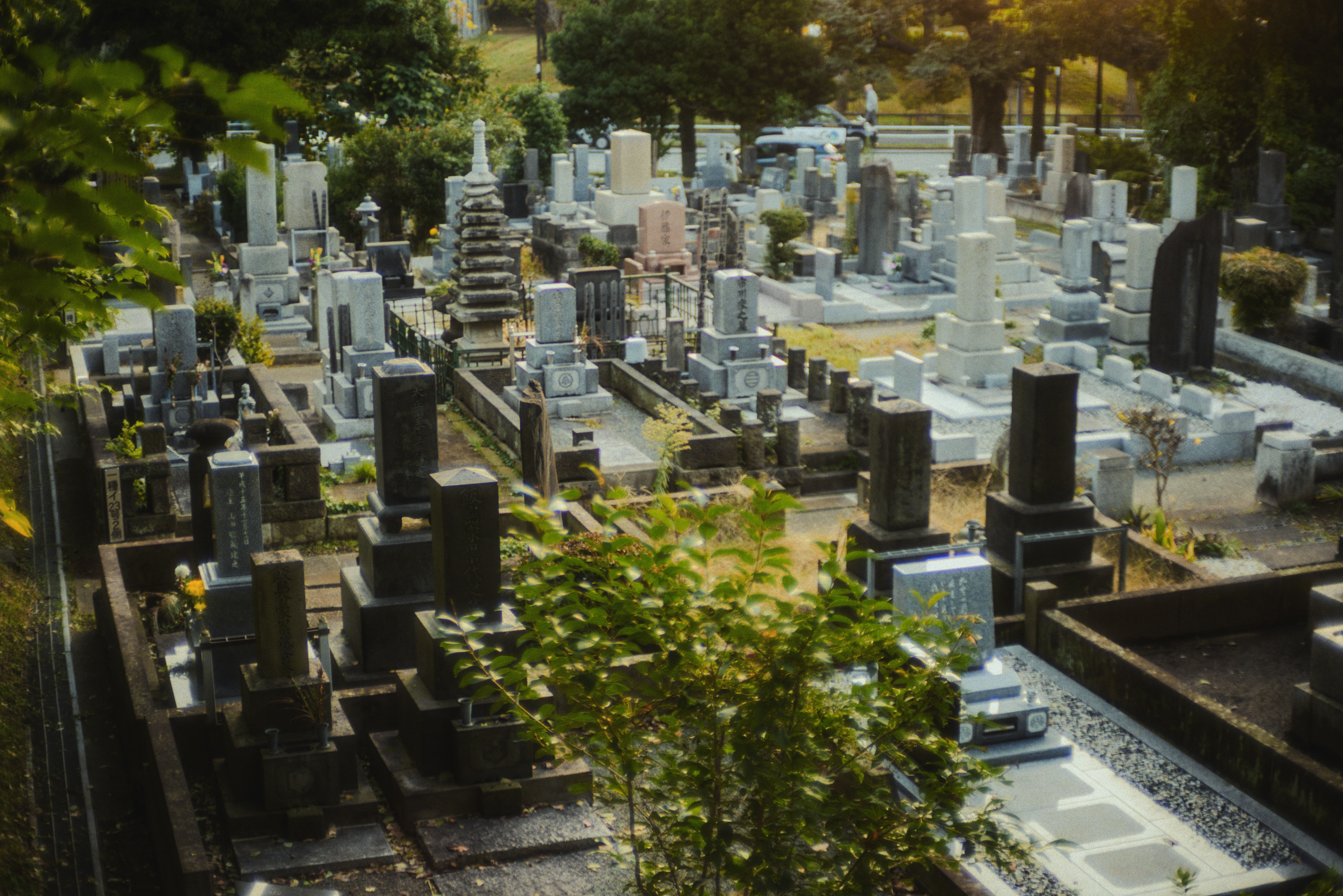 Photo by Jason Leung with Canon EOS R5