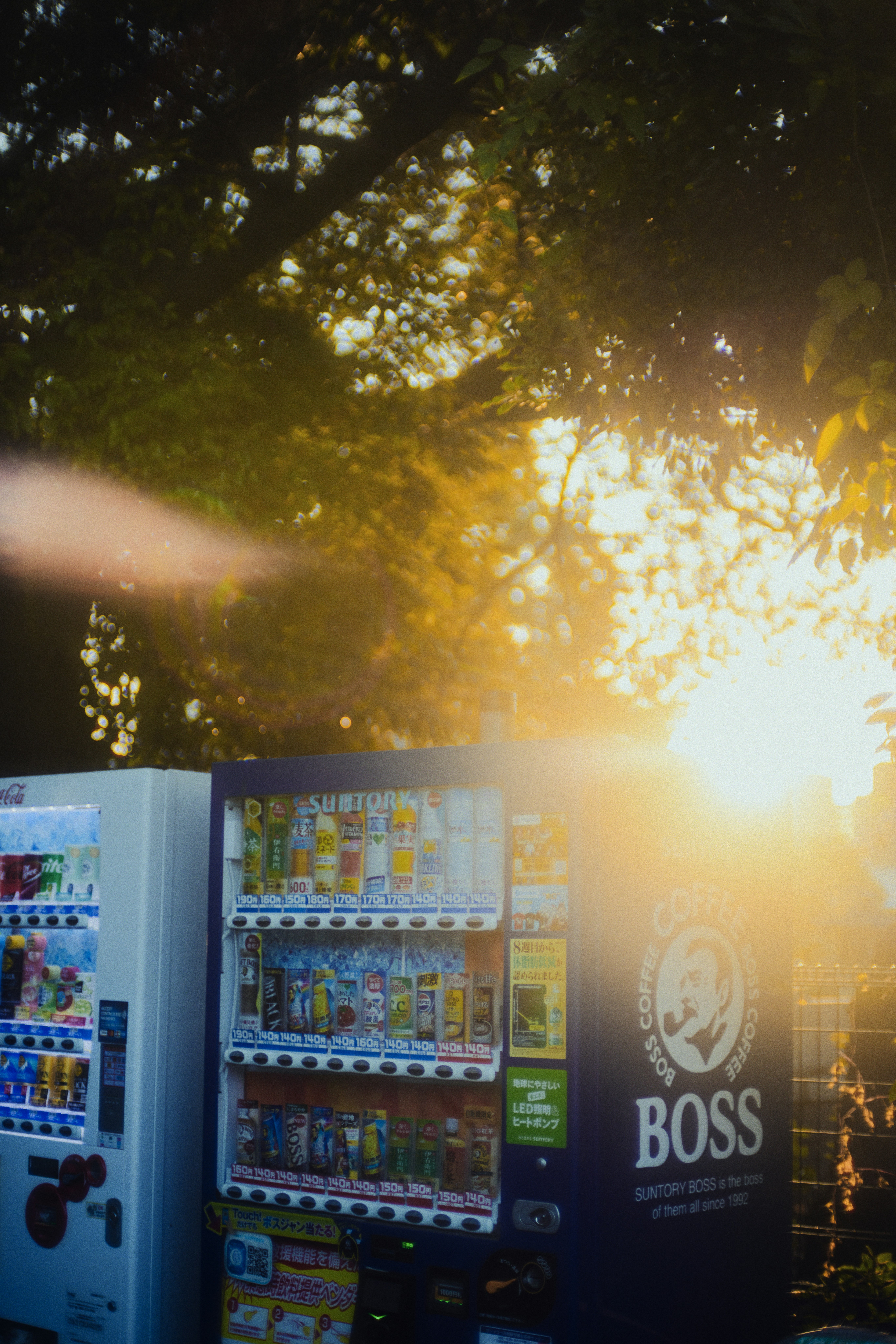 Golden Hour Glare Illuminates a Row of Vending Machines, Spotlight on BOSS Coffee