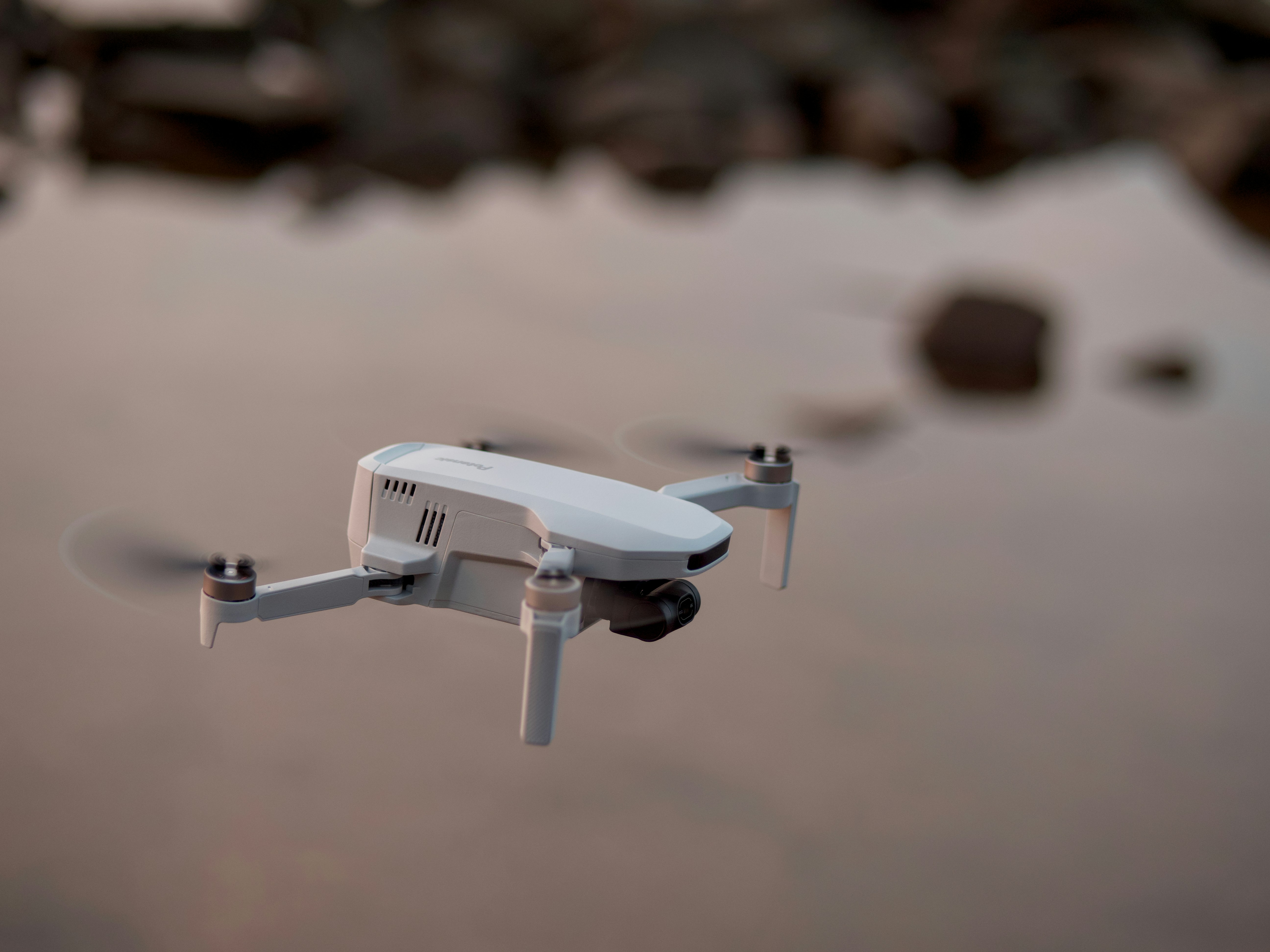 A small white object flying over a body of water photo – Free Animal ...