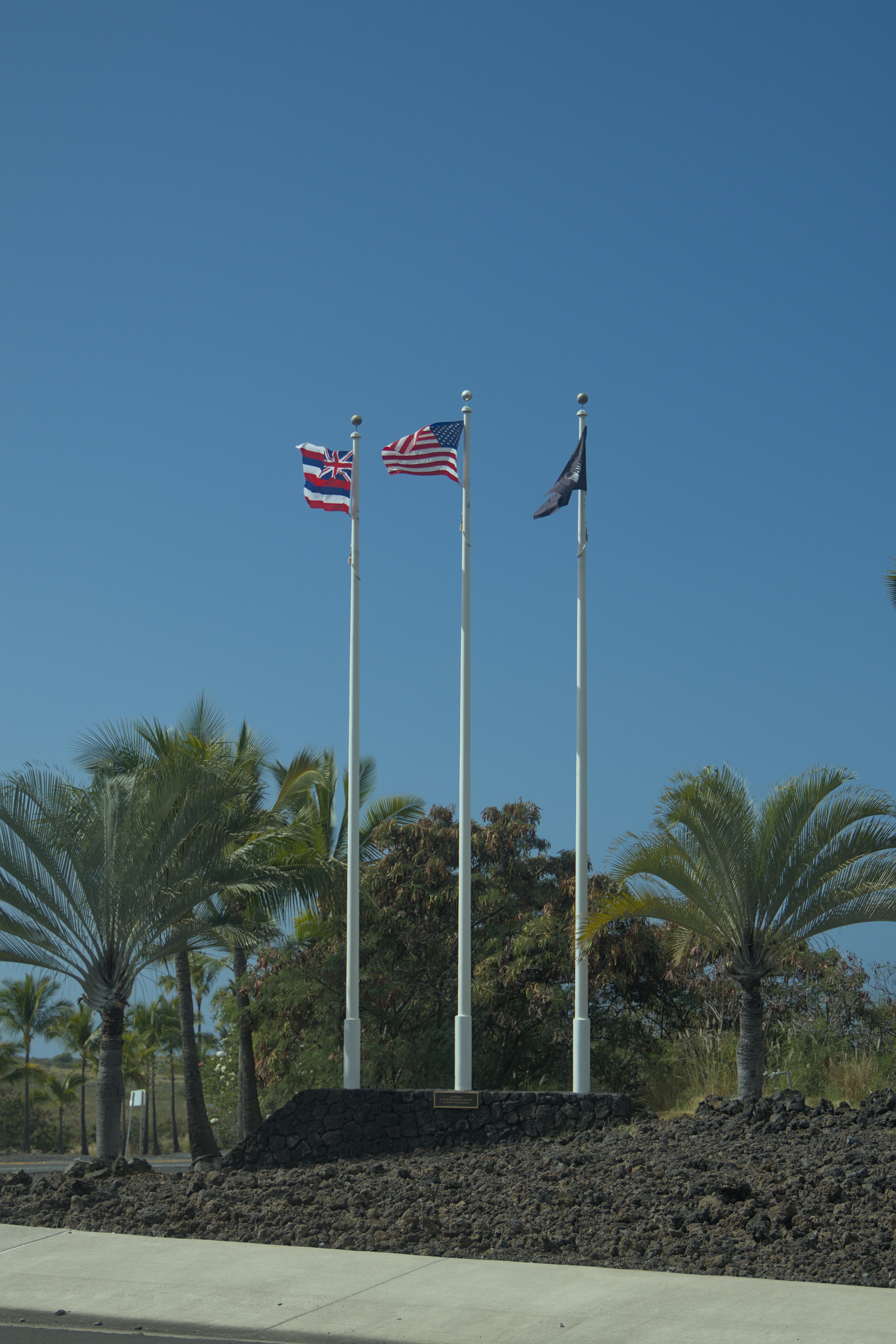 A group of american flags flying in the air photo – Free Usa Image on ...
