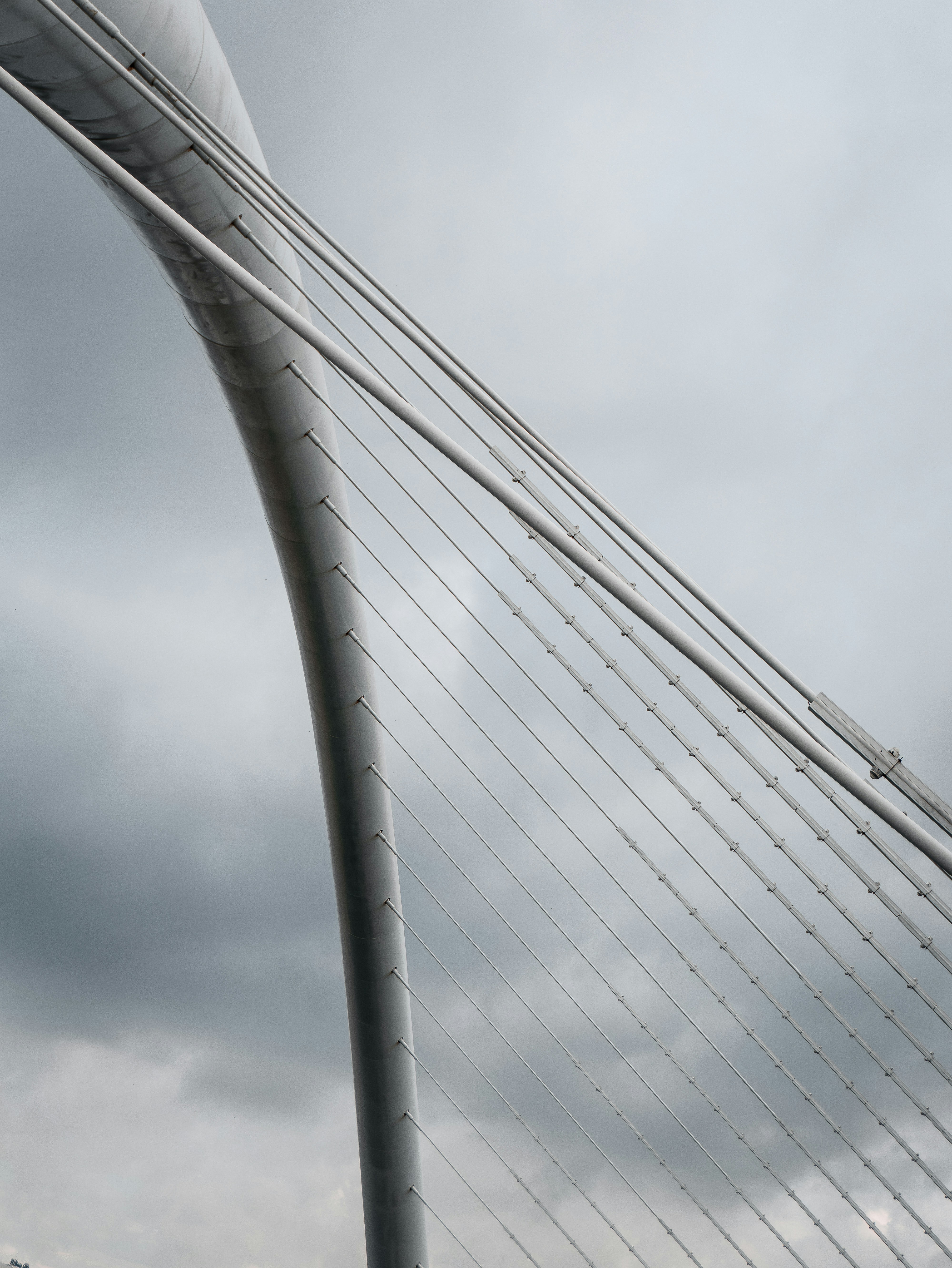 Curved Spine, Iron Cables: A Minimal Portrait of a Cable-Stayed Bridge
