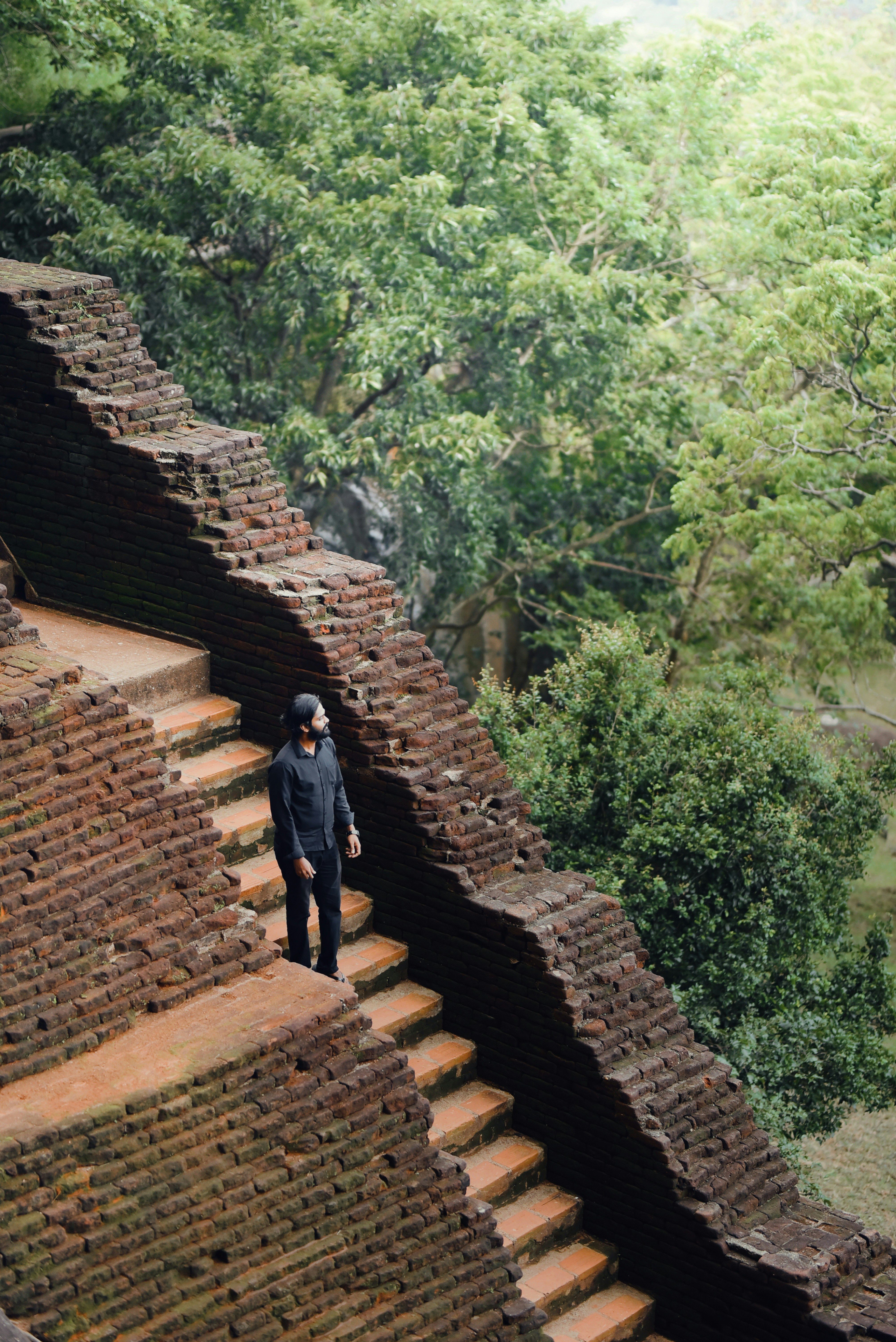 Climber on an Ancient Brick Staircase Amid Verdant Echoes