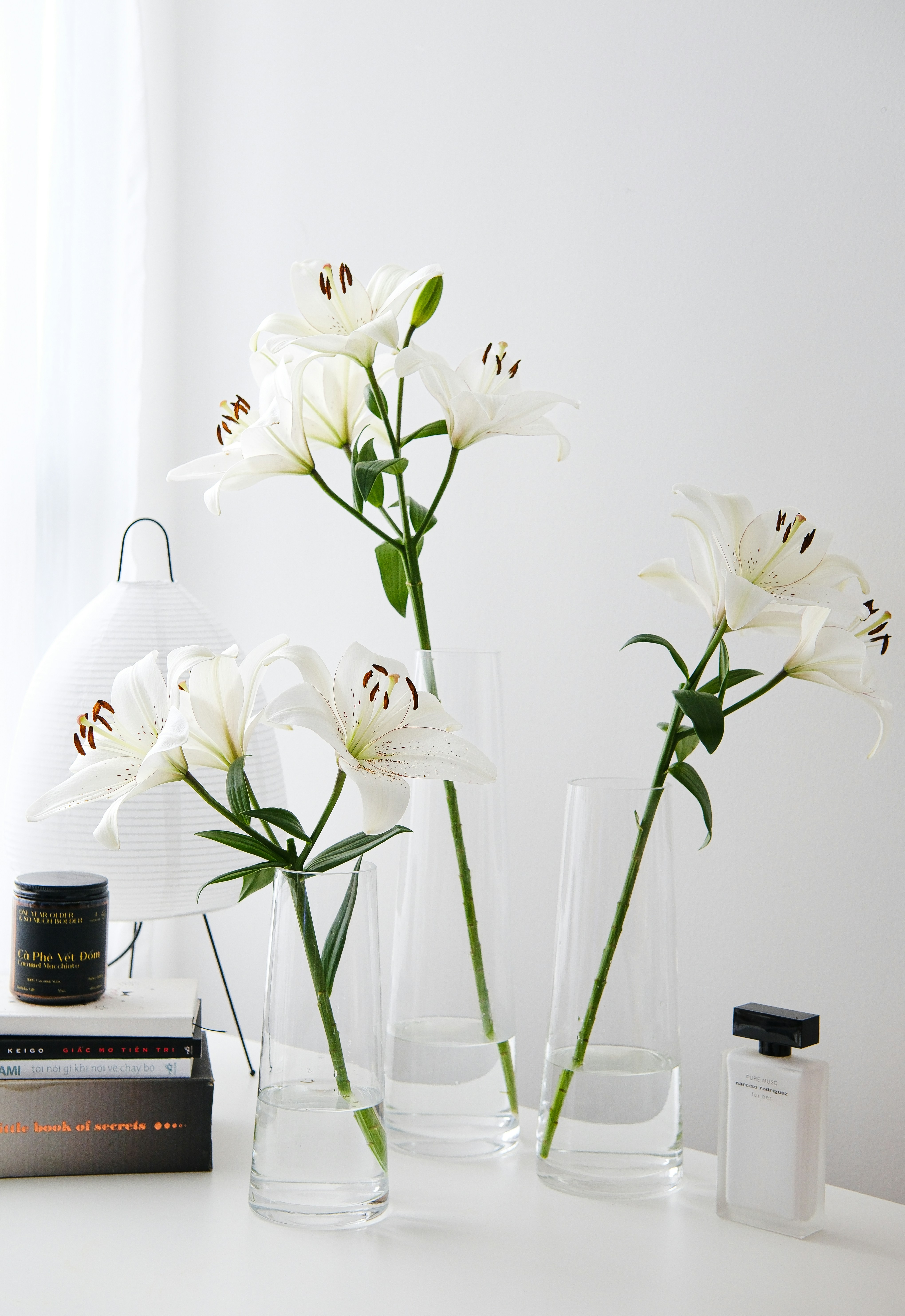 Lily Constellation on a Minimalist White Studio