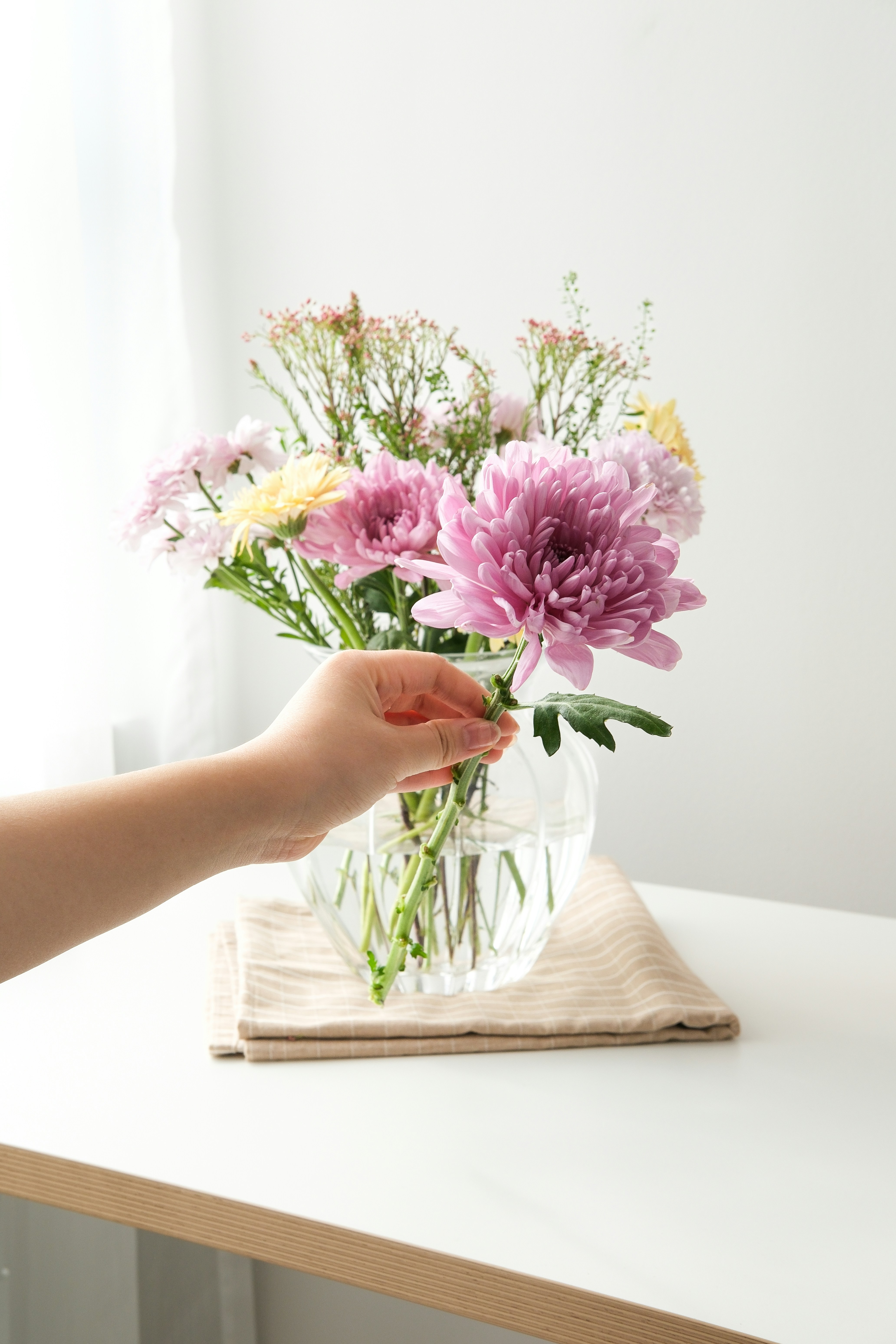 Gentle Window Light Reveals a Pink Chrysanthemum Bouquet