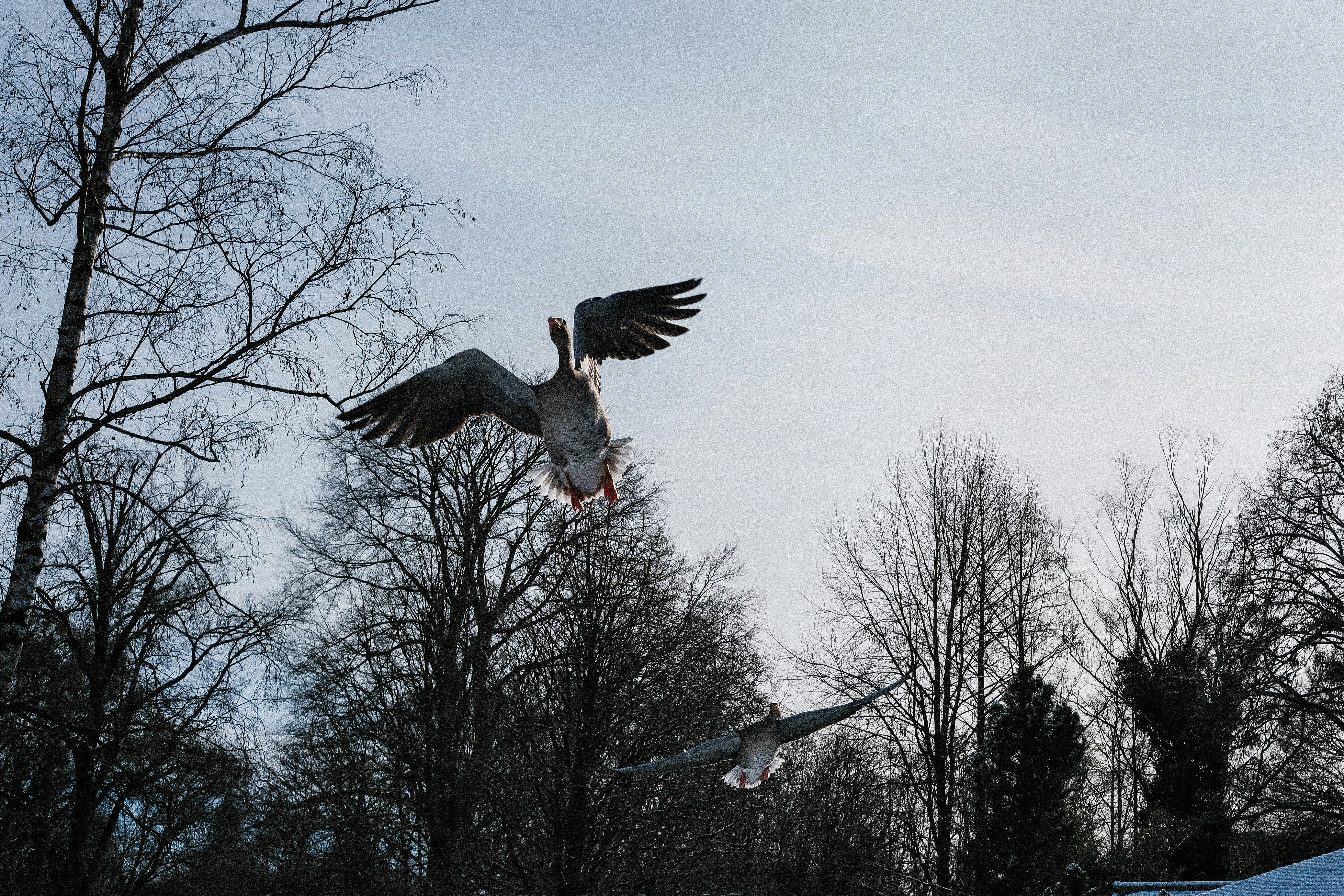 Photo by Dhiemas Afif Febriyan with Fujifilm X-T5