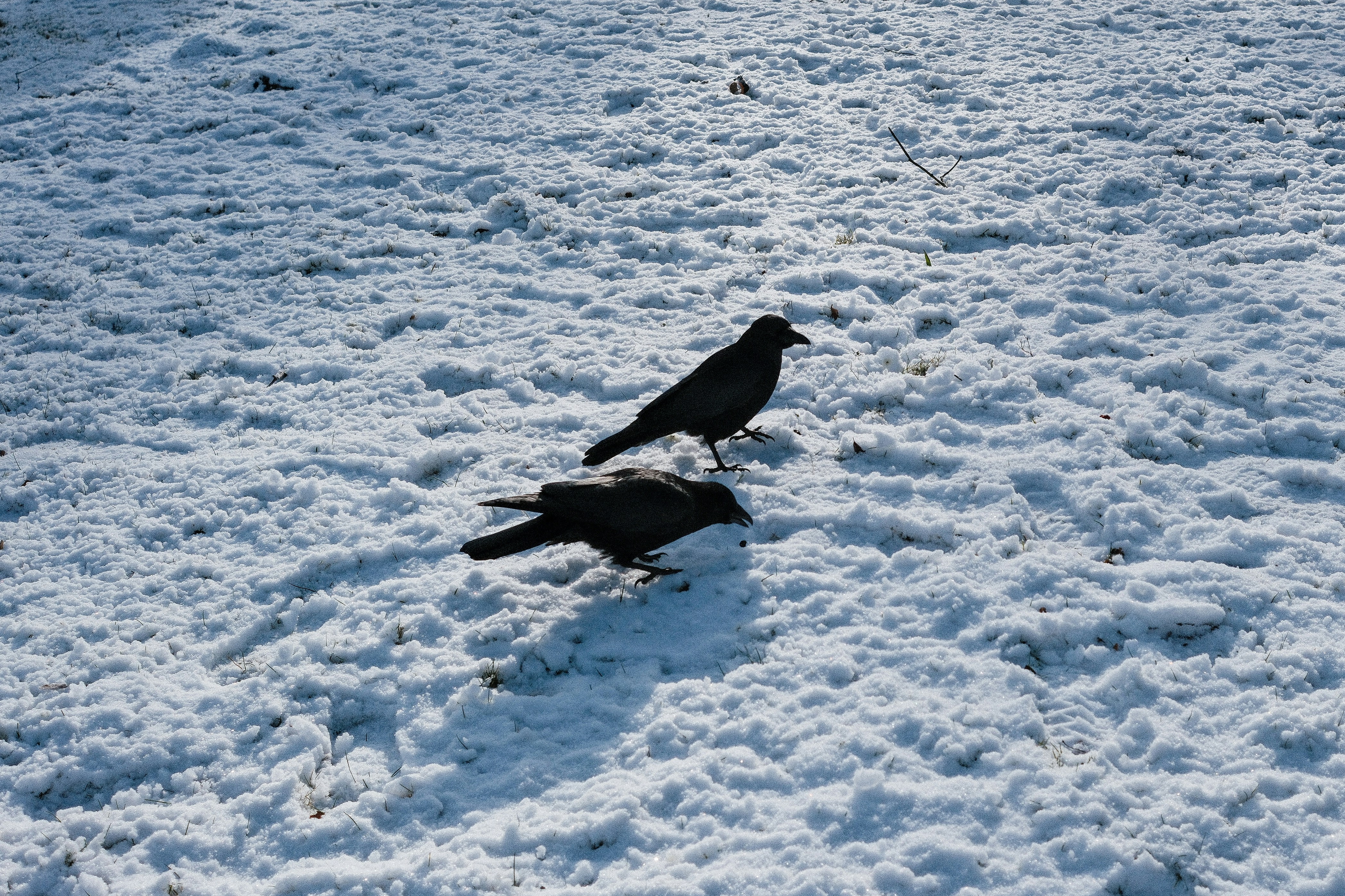 Photo by Dhiemas Afif Febriyan with Fujifilm X-T5