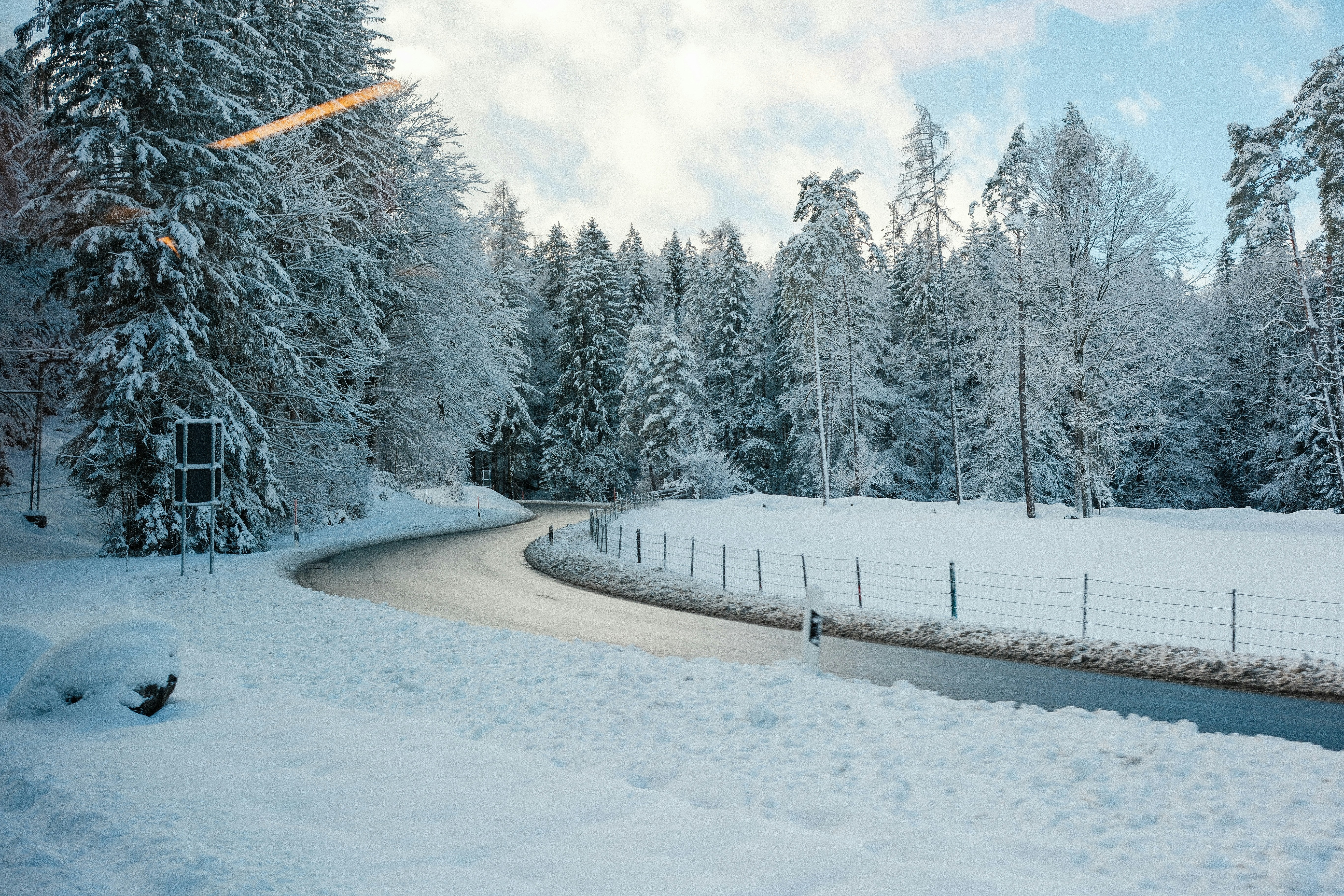 Snow-lit S-curve: A Quiet Winter Road Through Frosted Pines