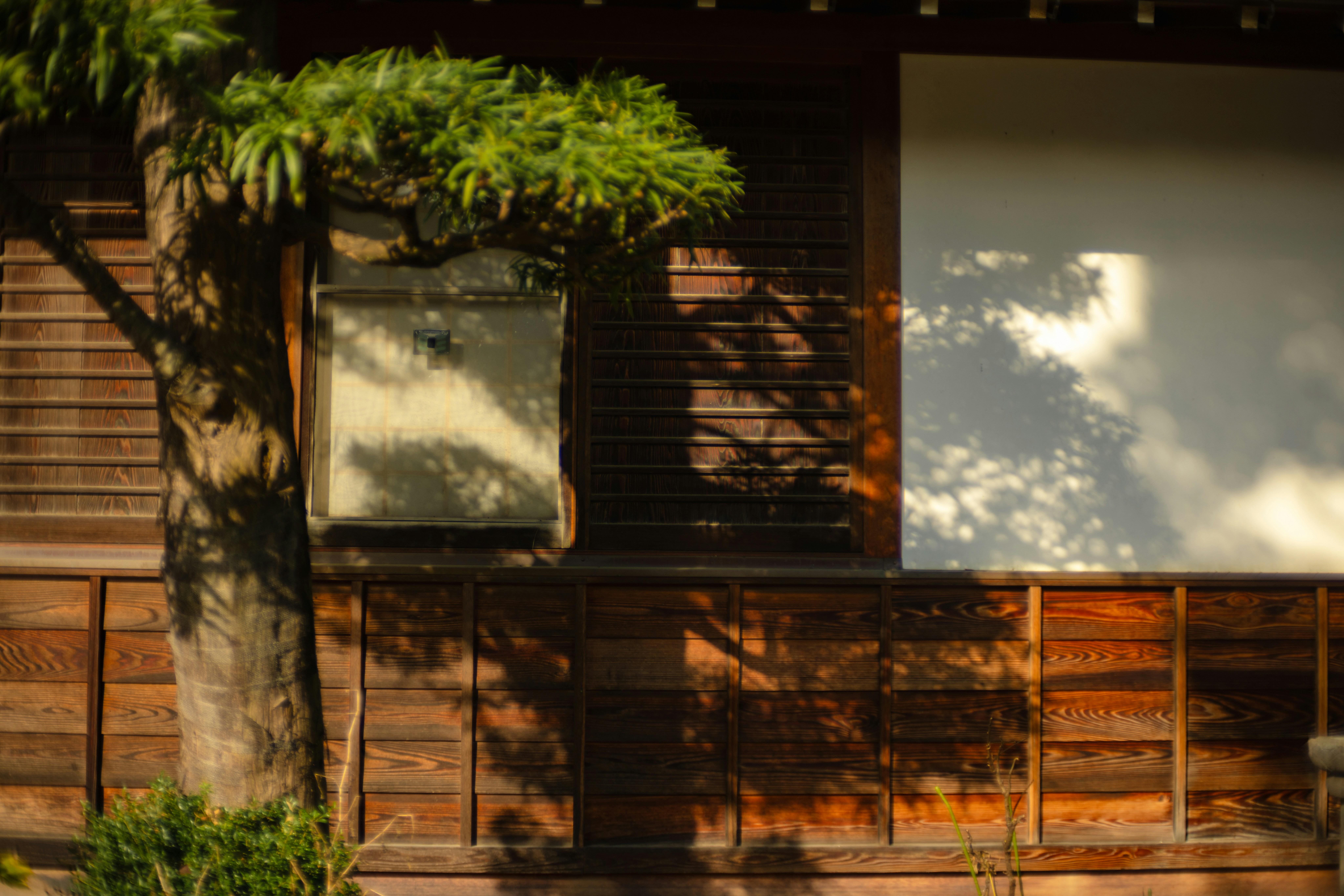 Un edificio de madera con un árbol y una ventana foto – Imagen de ...