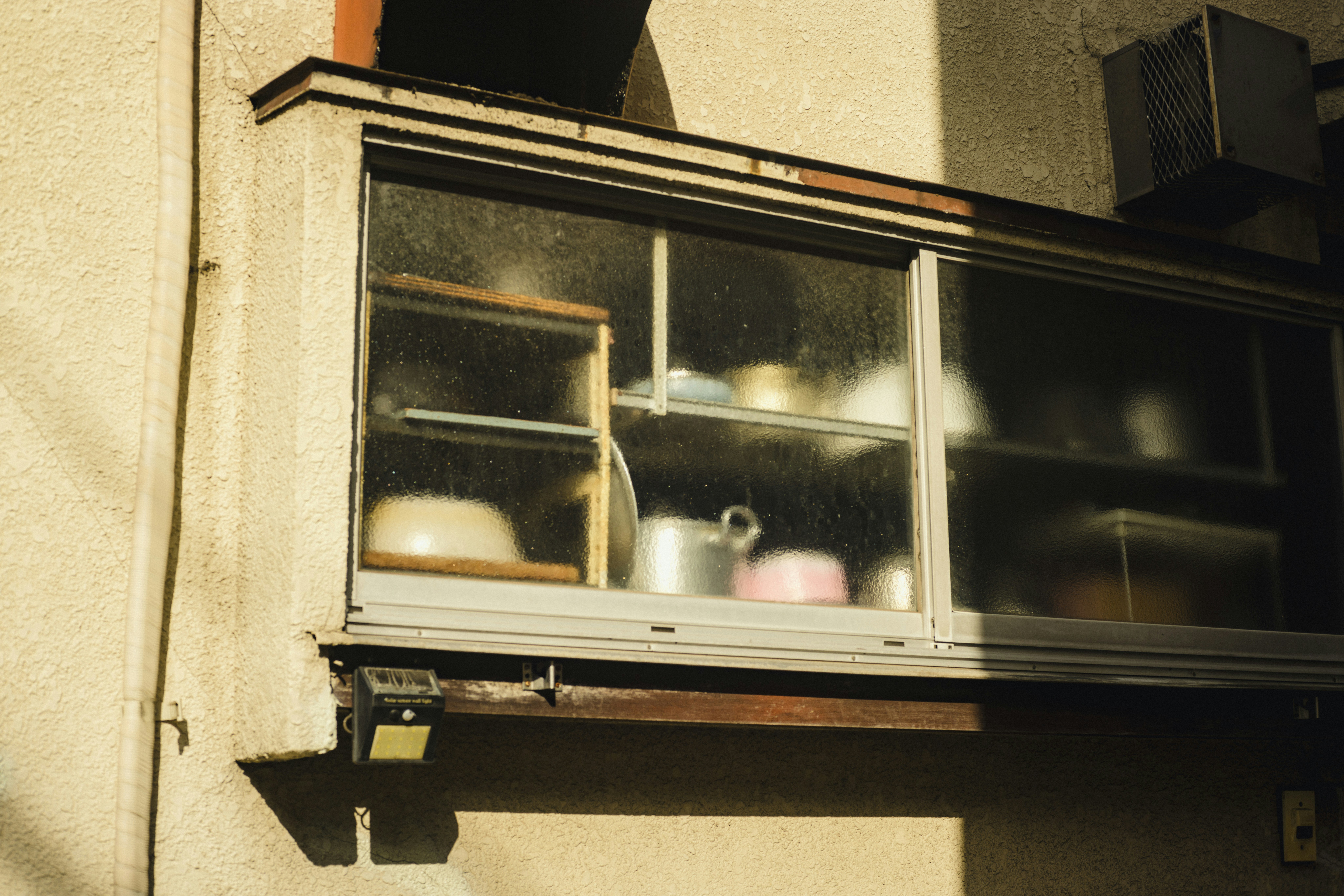 Photo by Jason Leung with Canon EOS R5