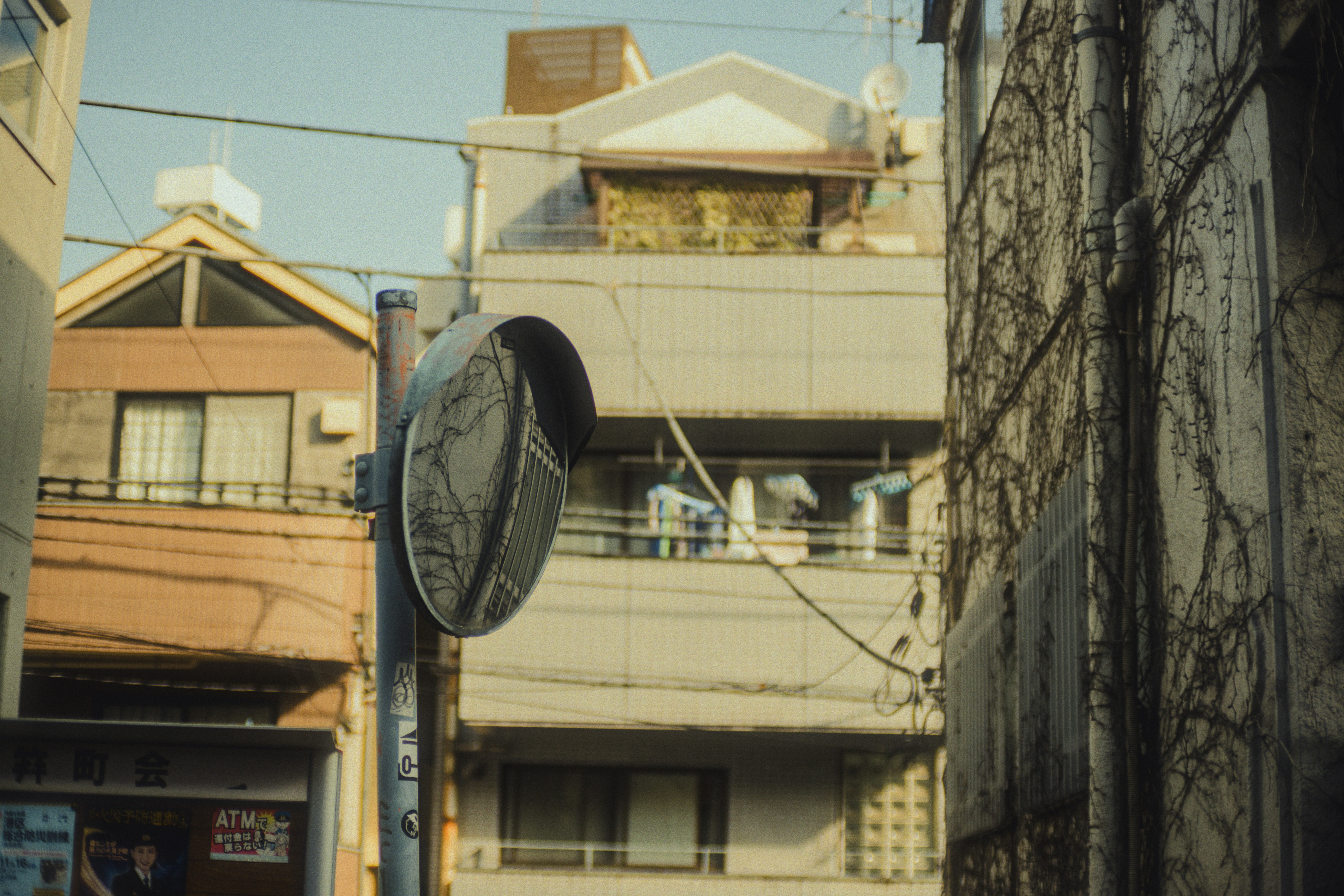 Photo by Jason Leung with Canon EOS R5