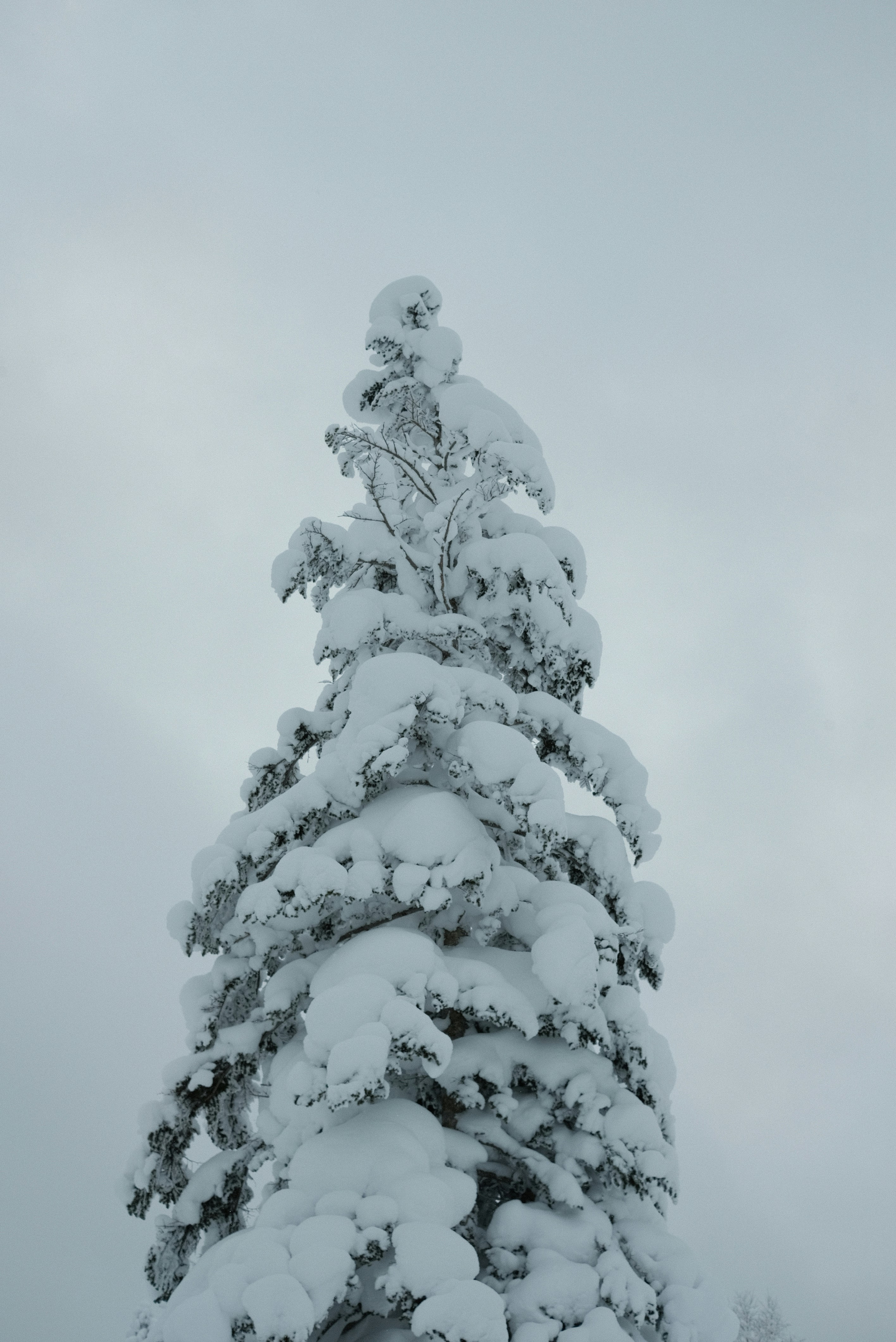 Photo by Dominic Kurniawan Suryaputra with Fujifilm X-T2