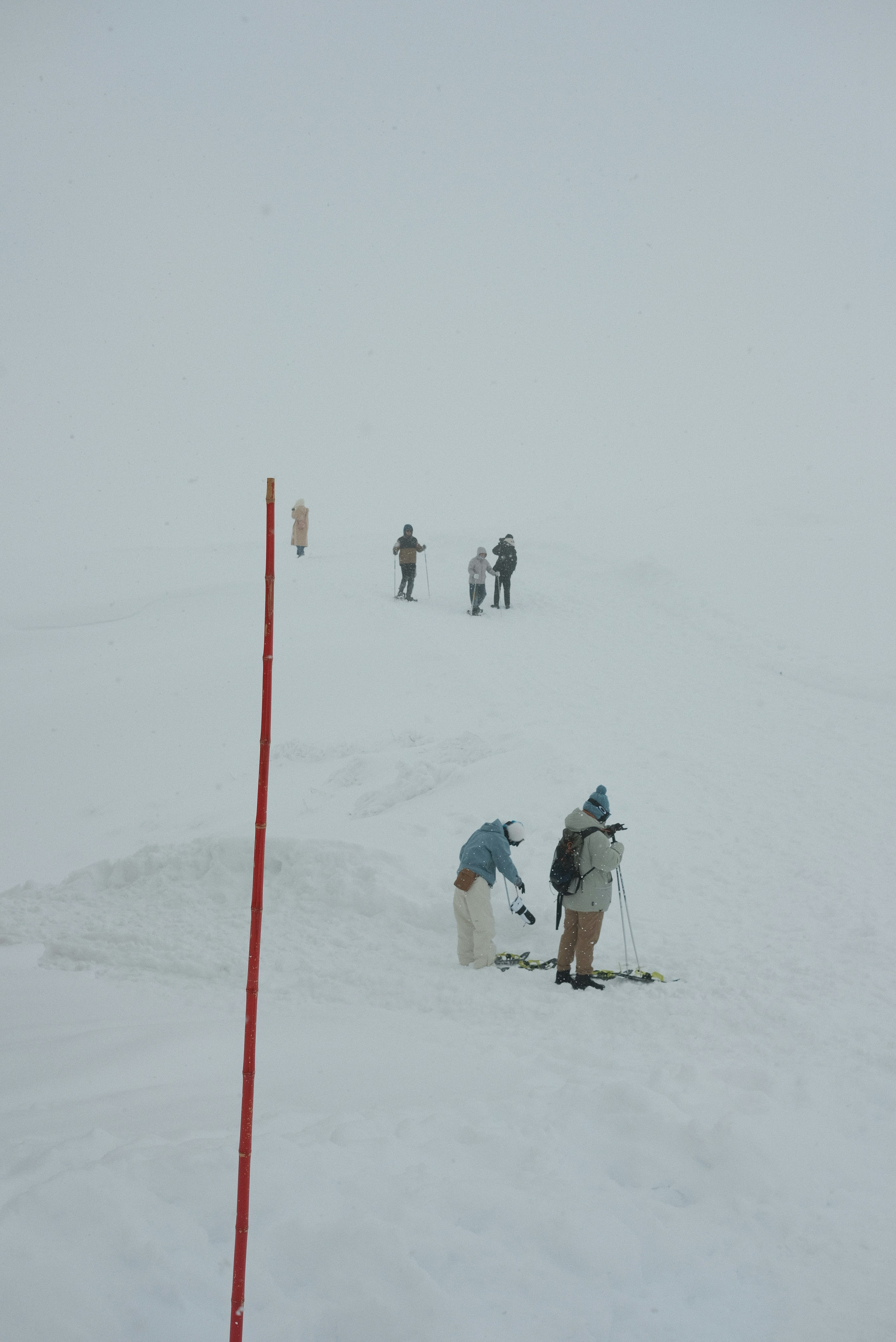 Group of skiers in a foggy snowfield with a red pole as a leading line