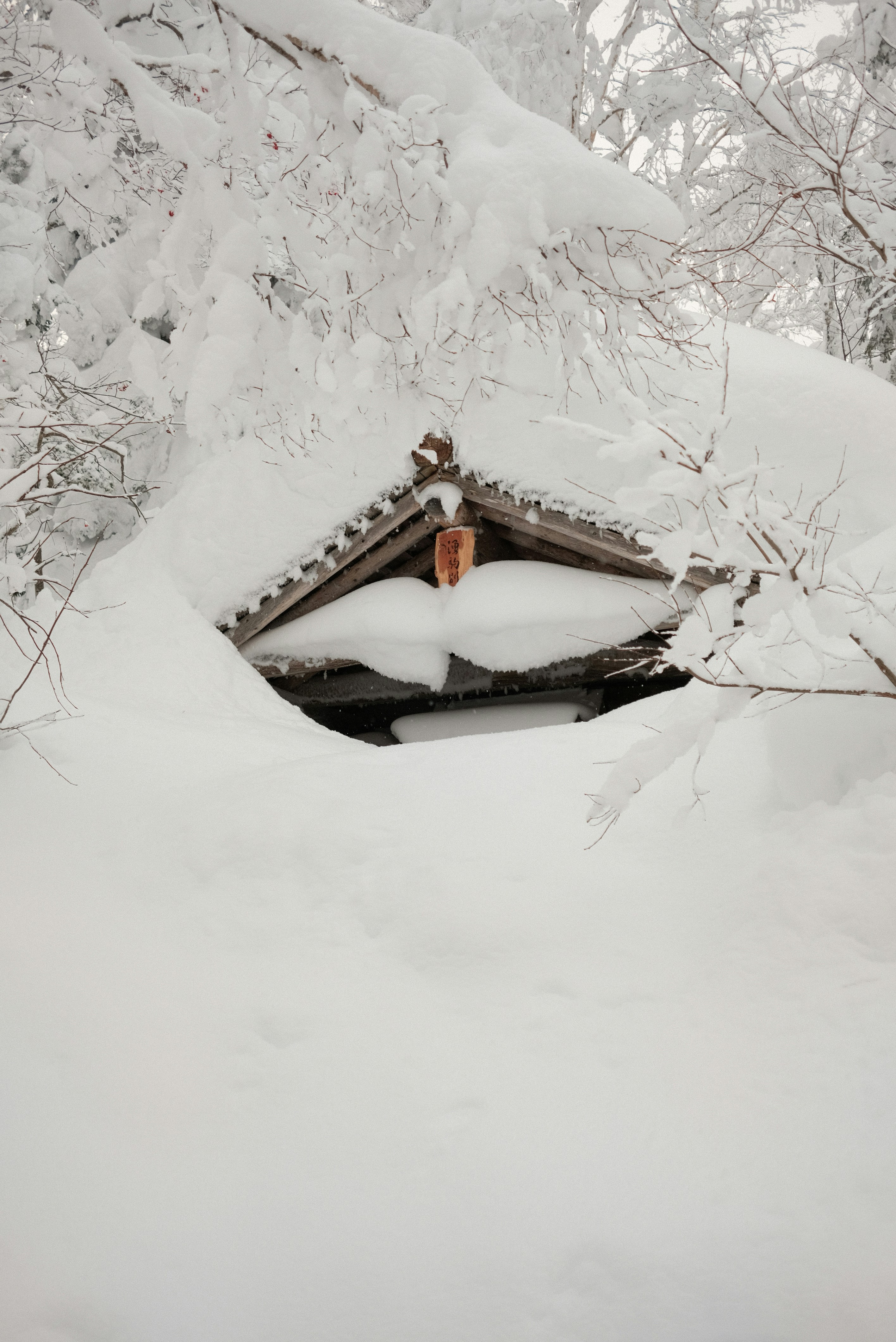 Snowbound Roof: A Quiet Glimpse of Winter's Hidden Shelter