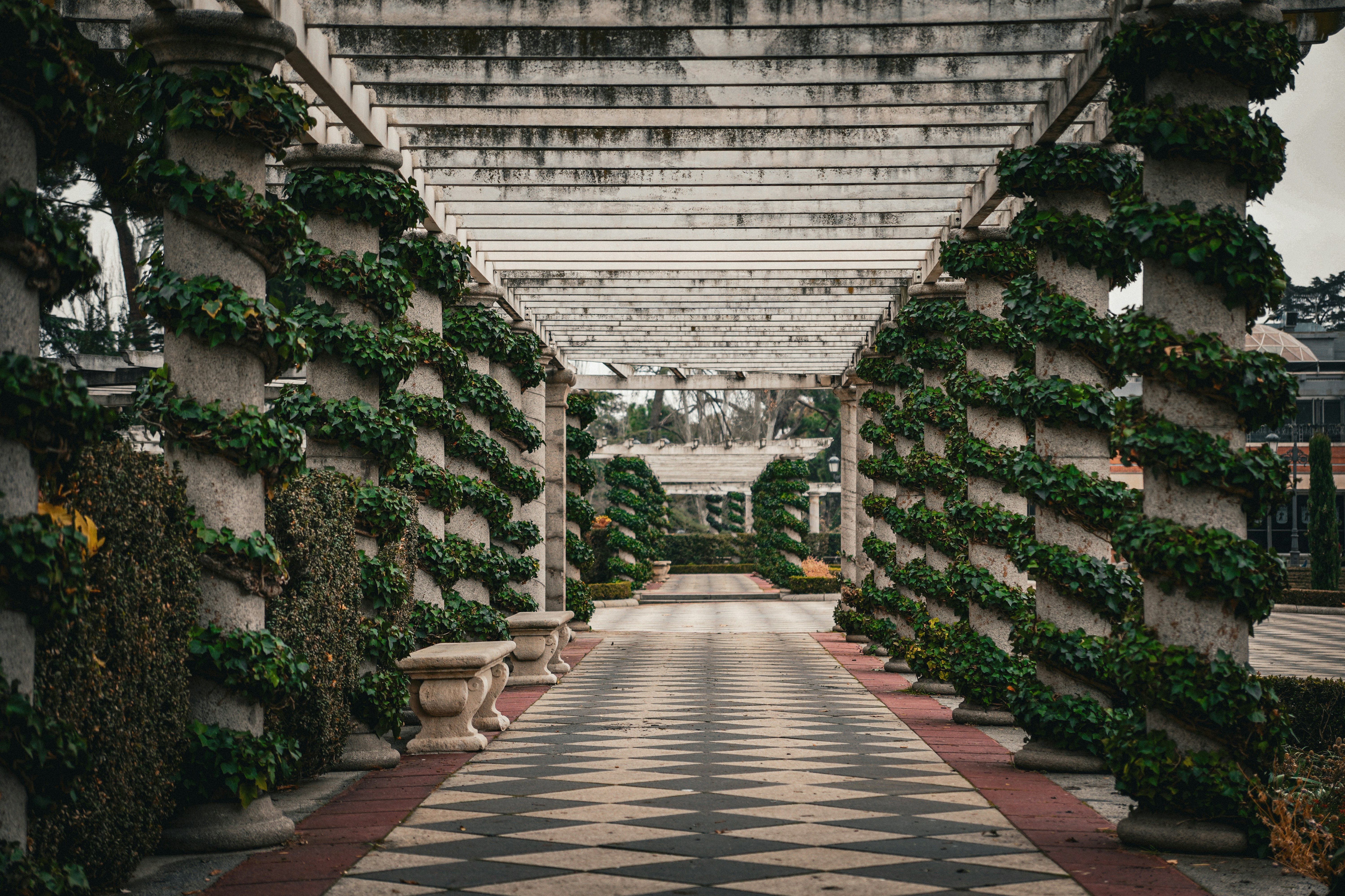 A walkway with a checkerboard floor and plants growing on it photo ...