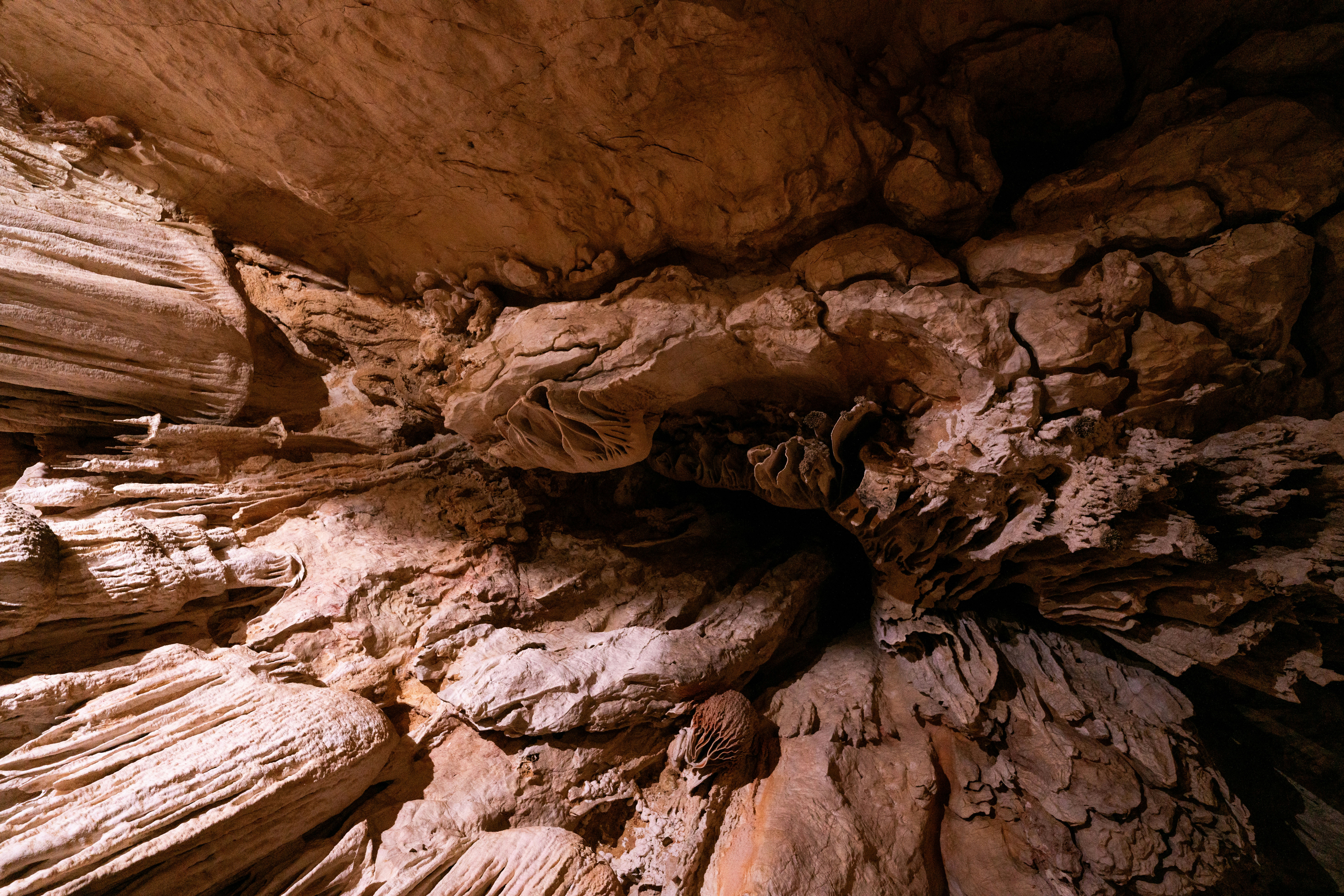 A close up of a tree trunk in a cave photo – Free Wombeyan caves nsw ...