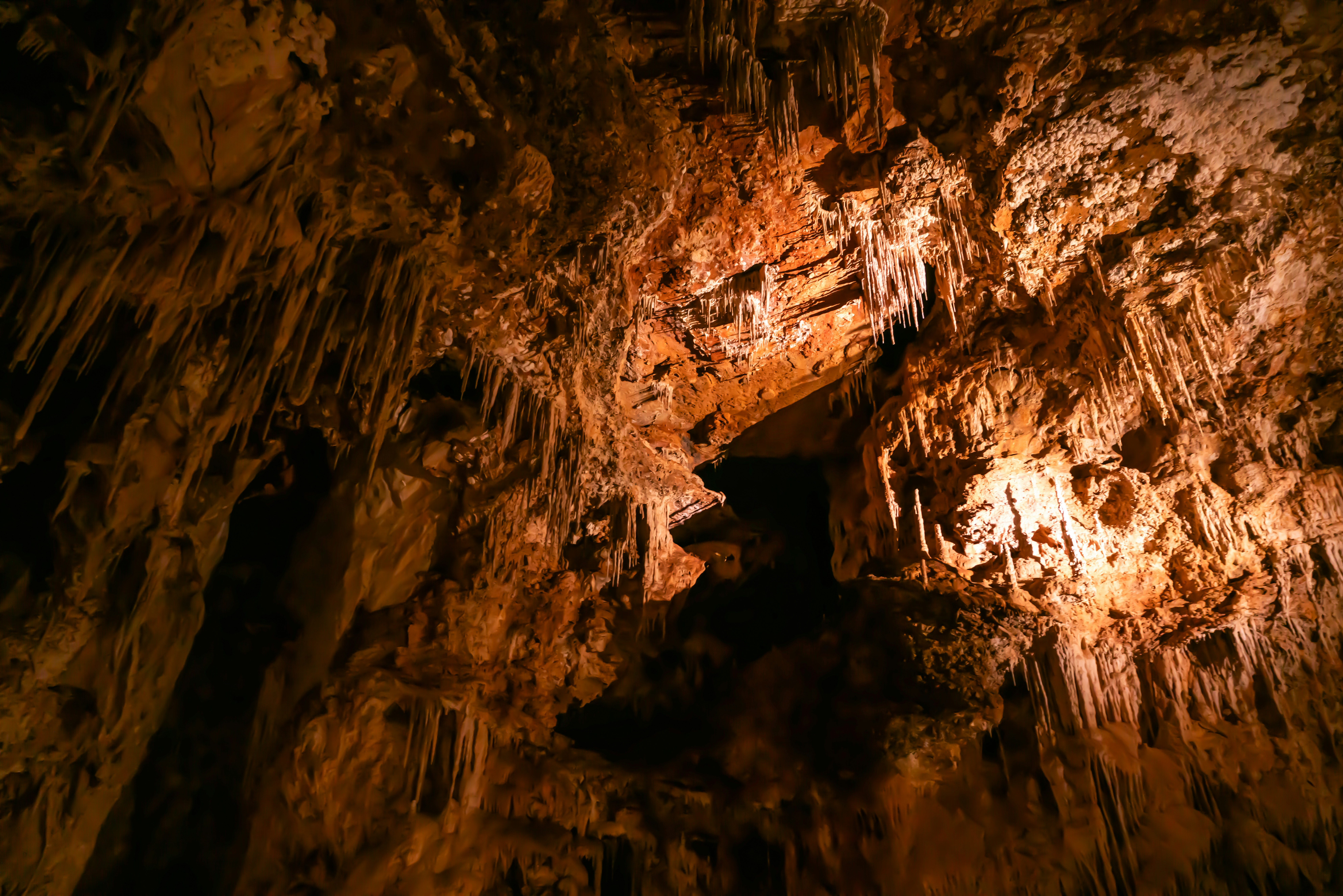 A cave filled with lots of cave like formations photo – Free Wombeyan ...