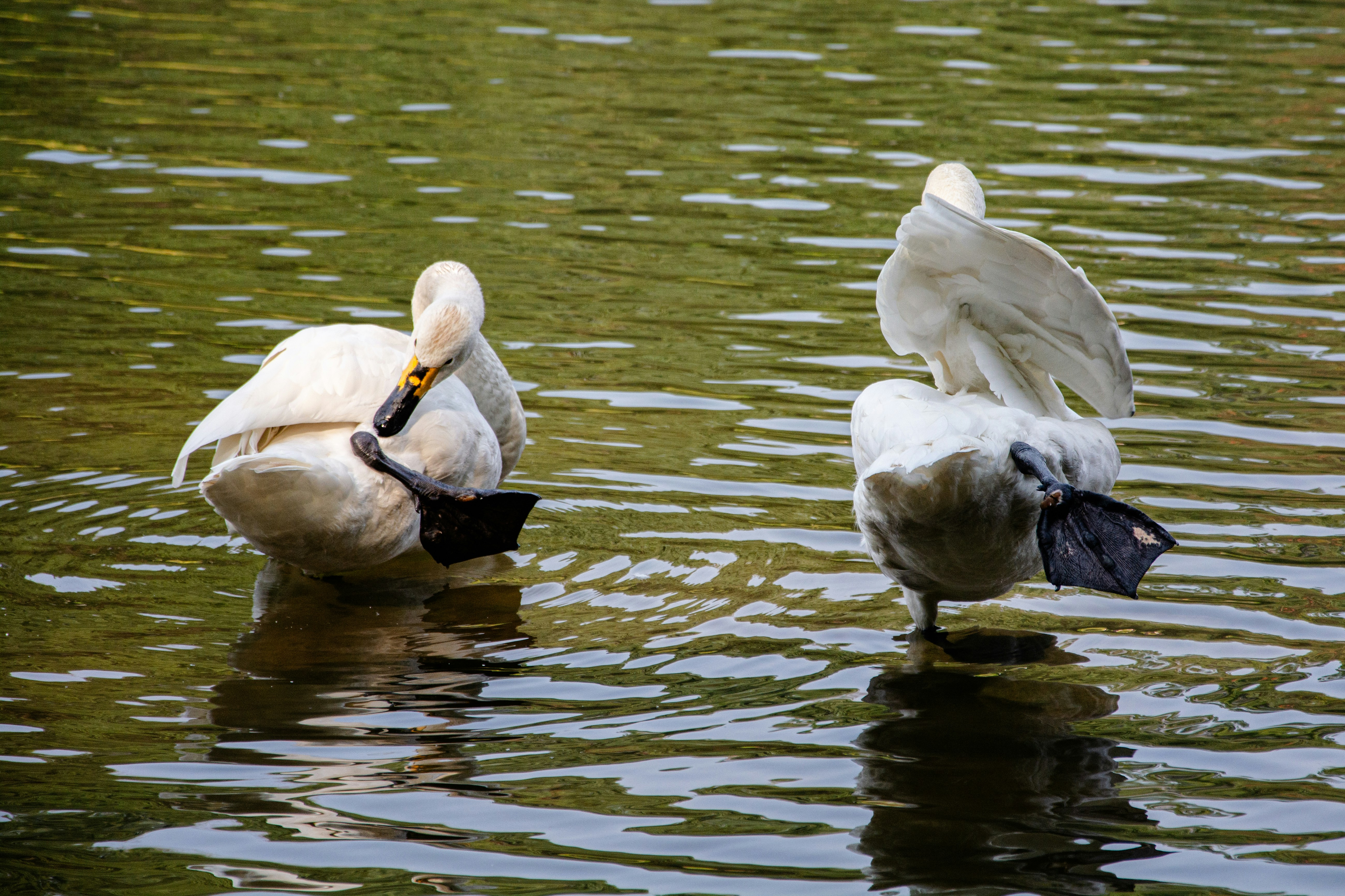 Photo by Haowei Guo with Nikon D5200