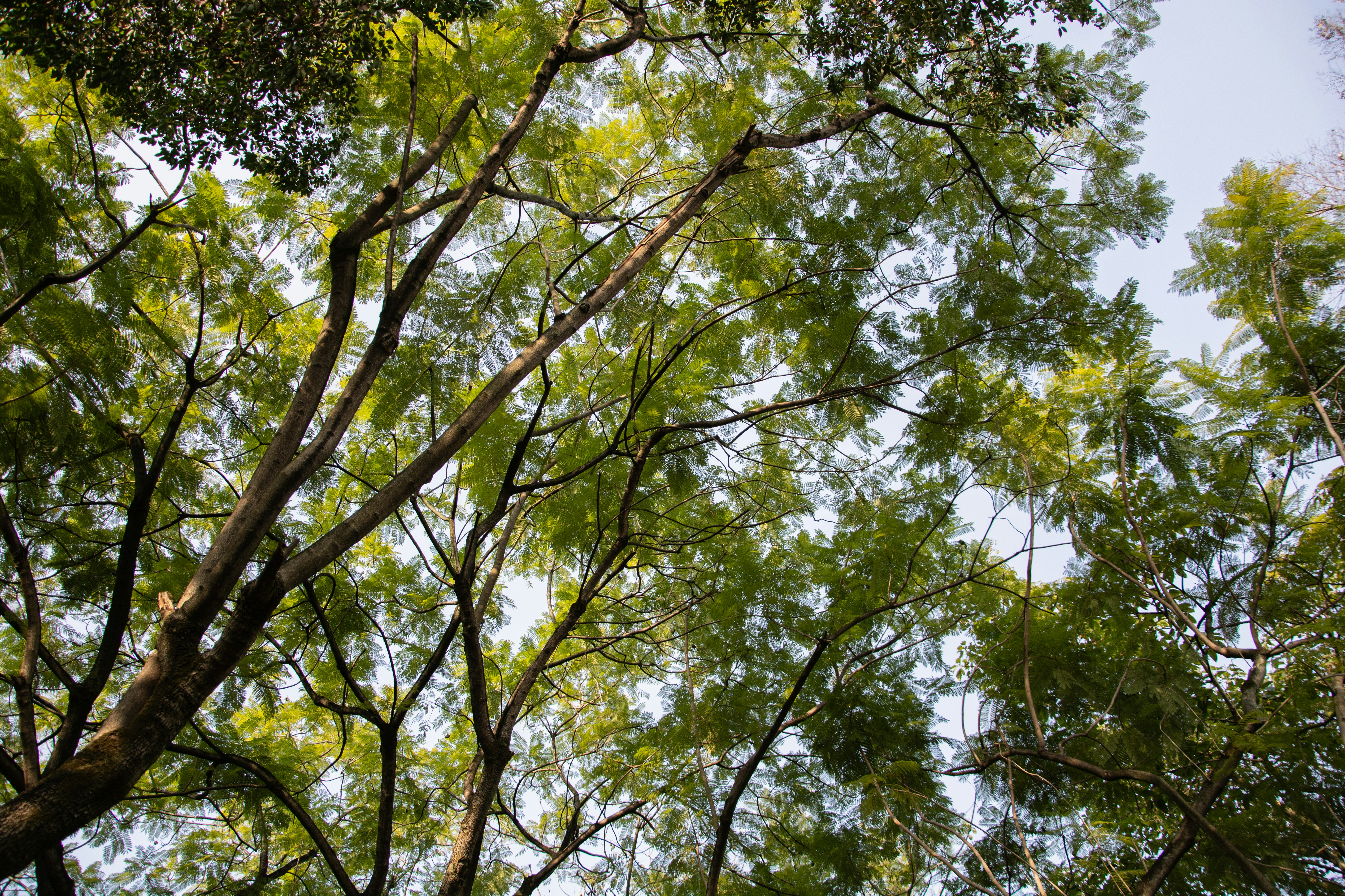 Haowei Guo (@hw_guo) | Komunitas Foto Unsplash