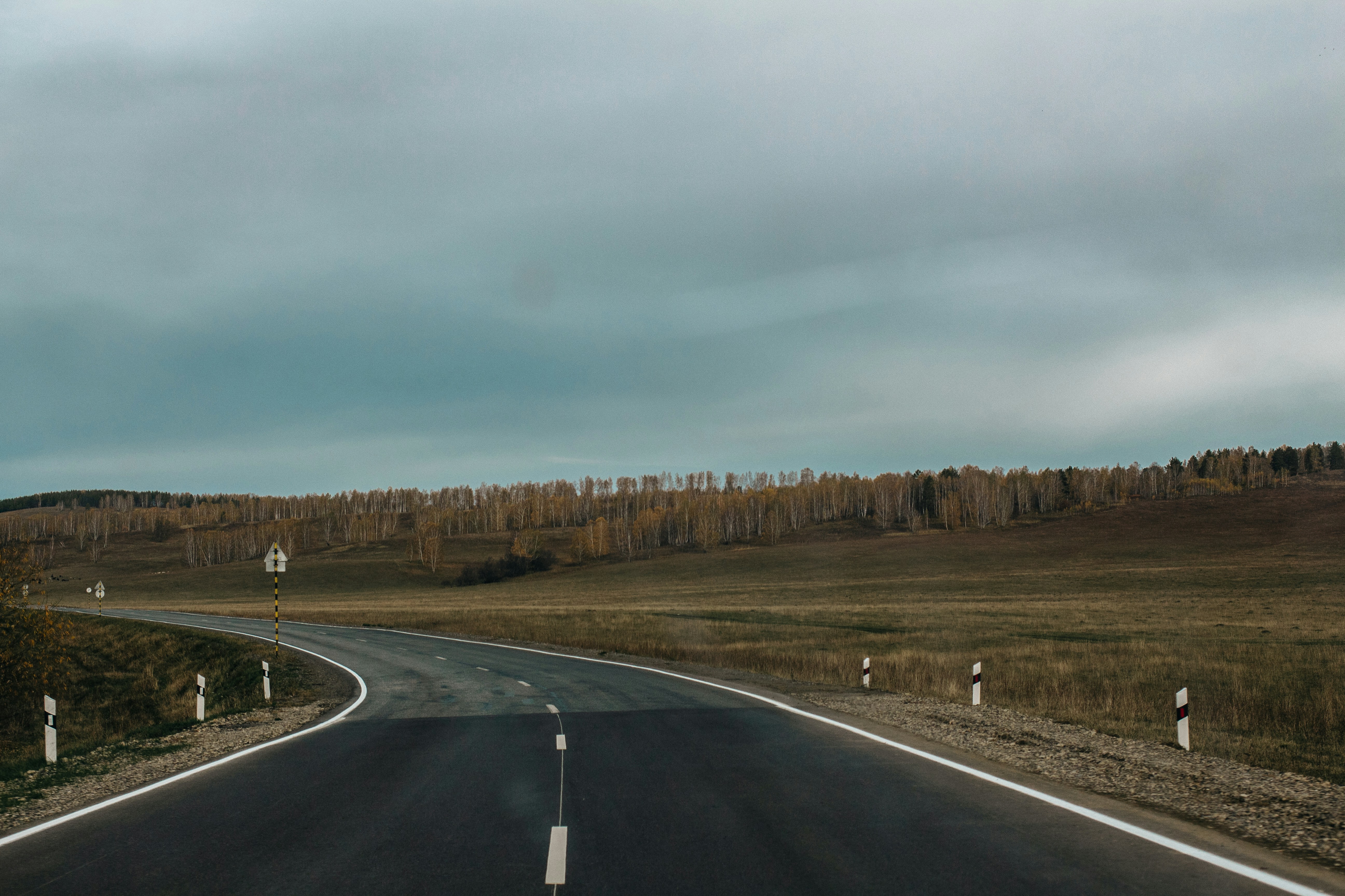 Distant Curve: An Autumn Road Carving Through a Quiet Horizon