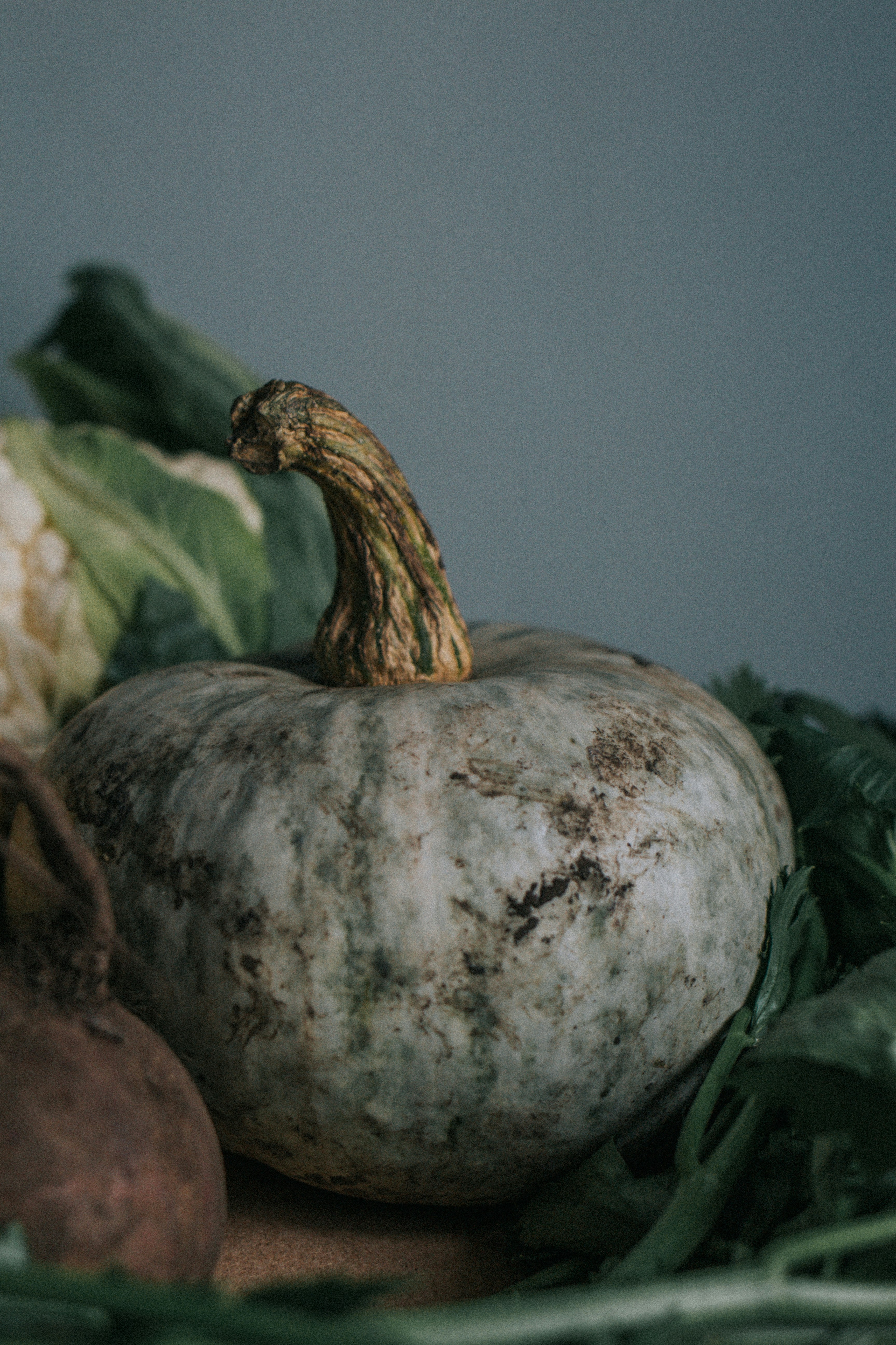 Harvest's Quiet Elegance