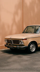 Retro Harmony: Classic BMW Meets Earthy Backdrop