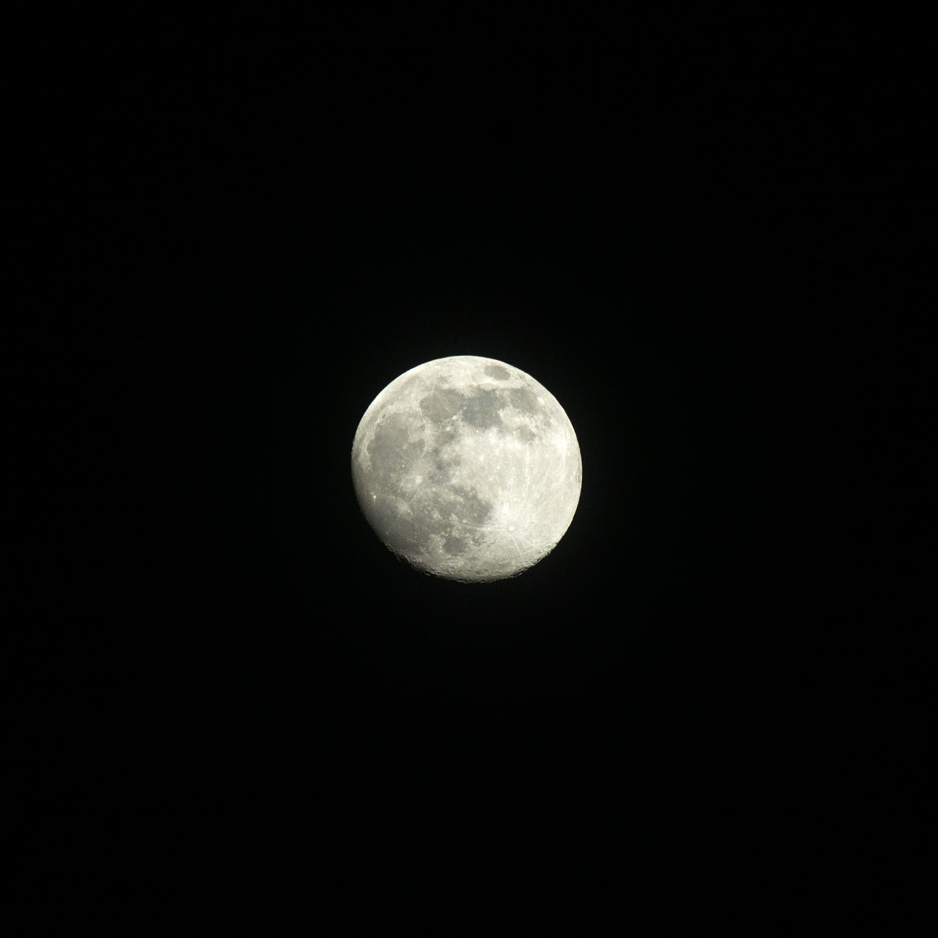 Pale Moon in a Velvet Night Sky
