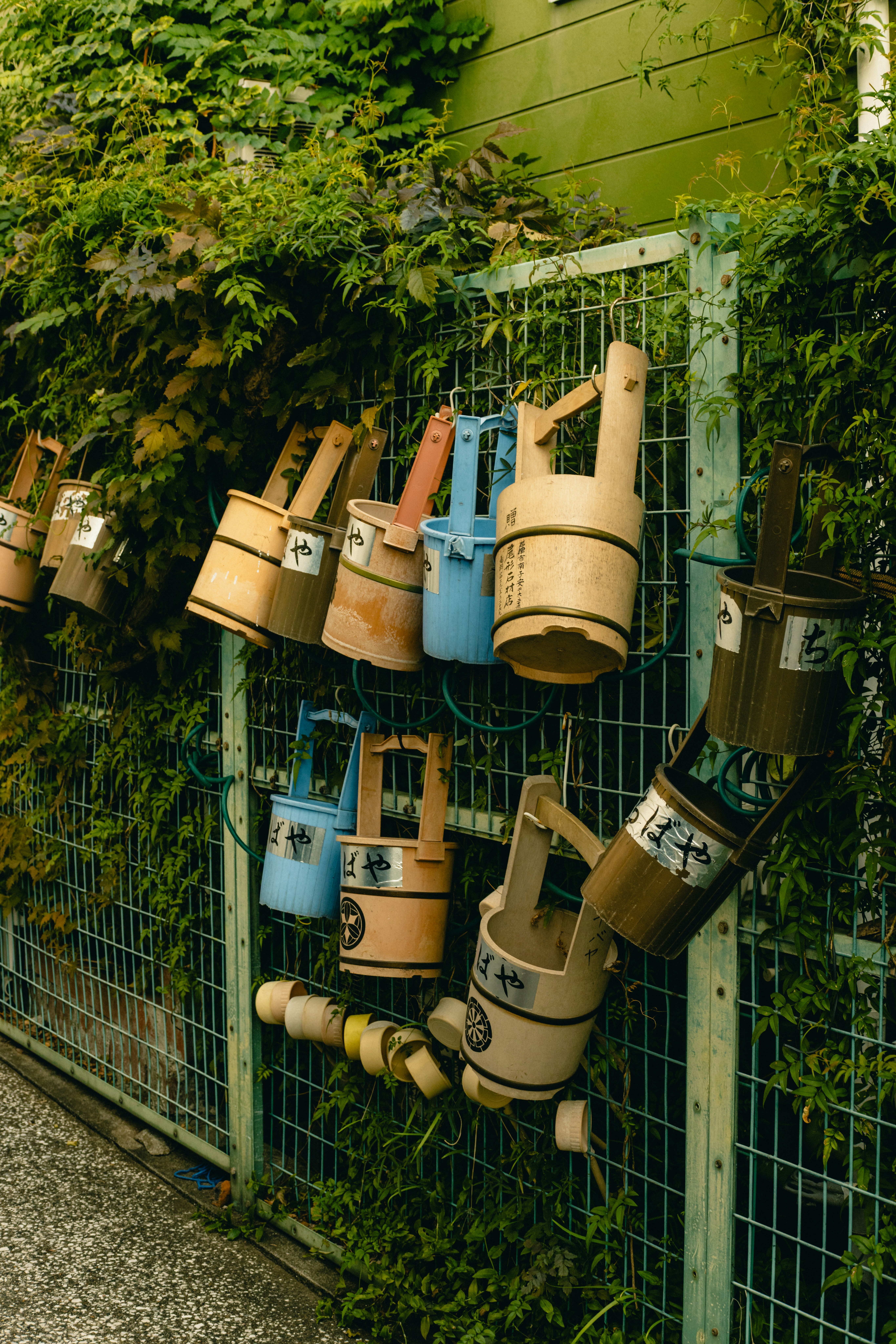 A bunch of buckets are hanging on a fence photo – Free Outdoors Image ...
