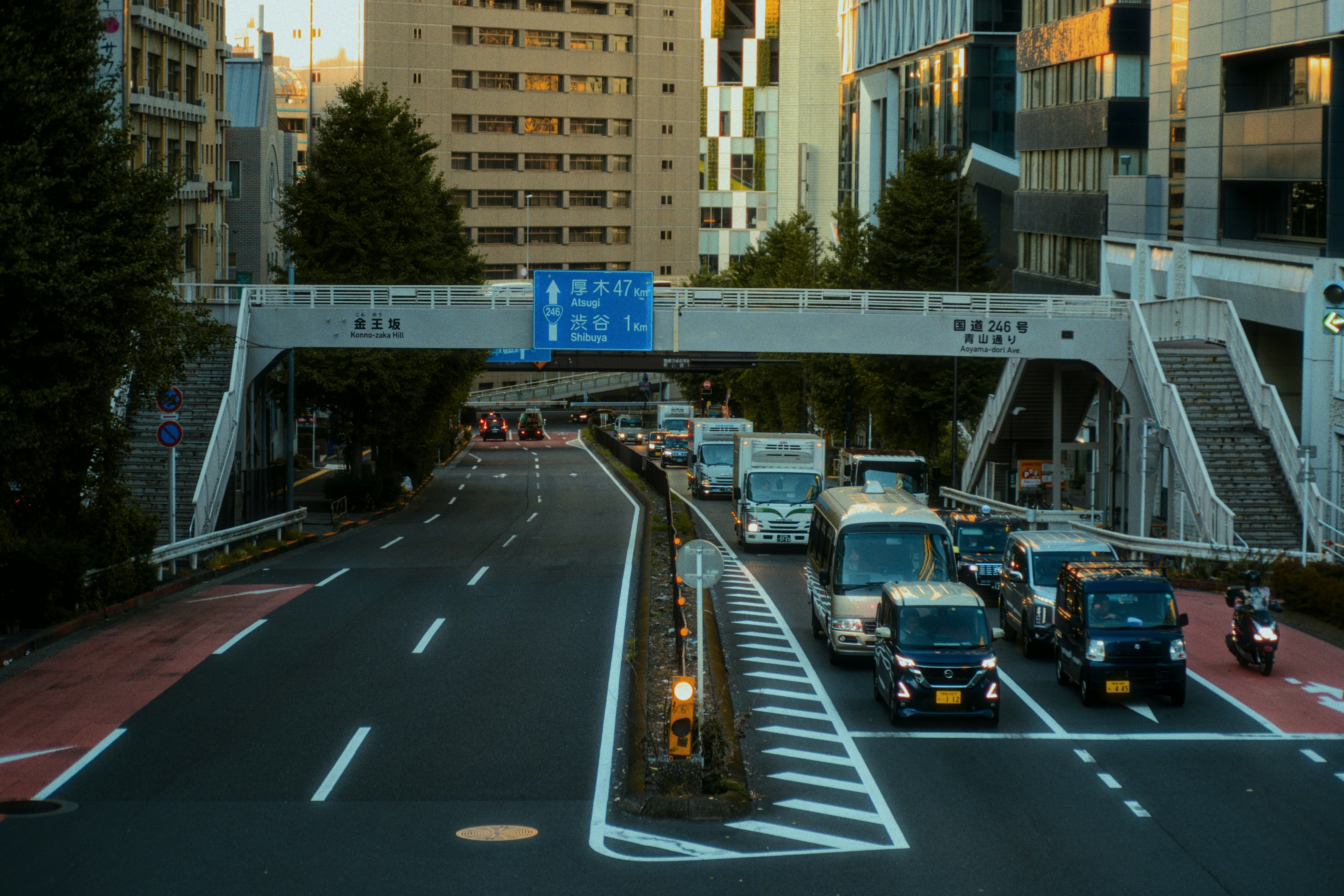 Photo by Jason Leung with Canon EOS R5