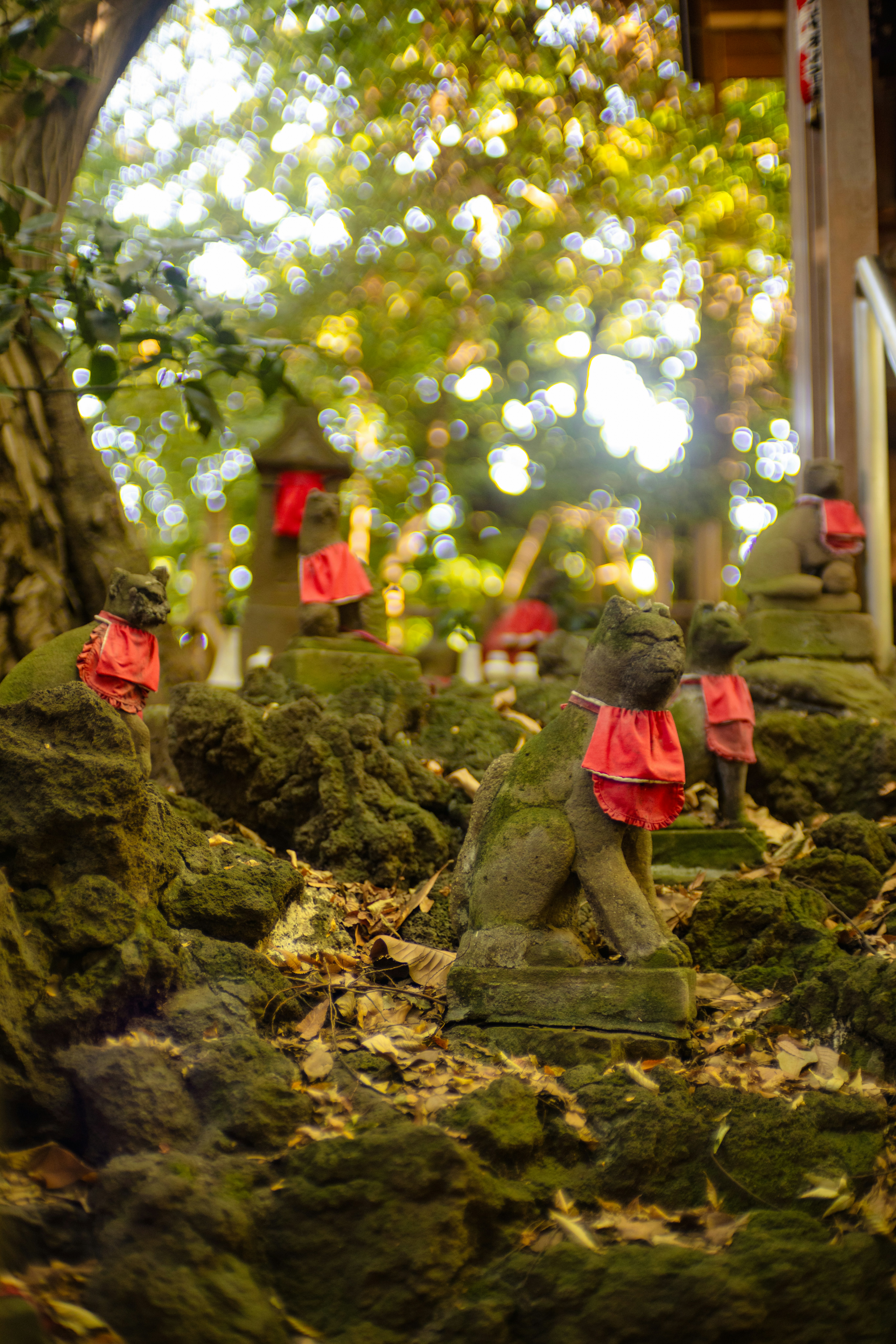 Kitsune Sentinels Beneath a Dappled Shrine Canopy