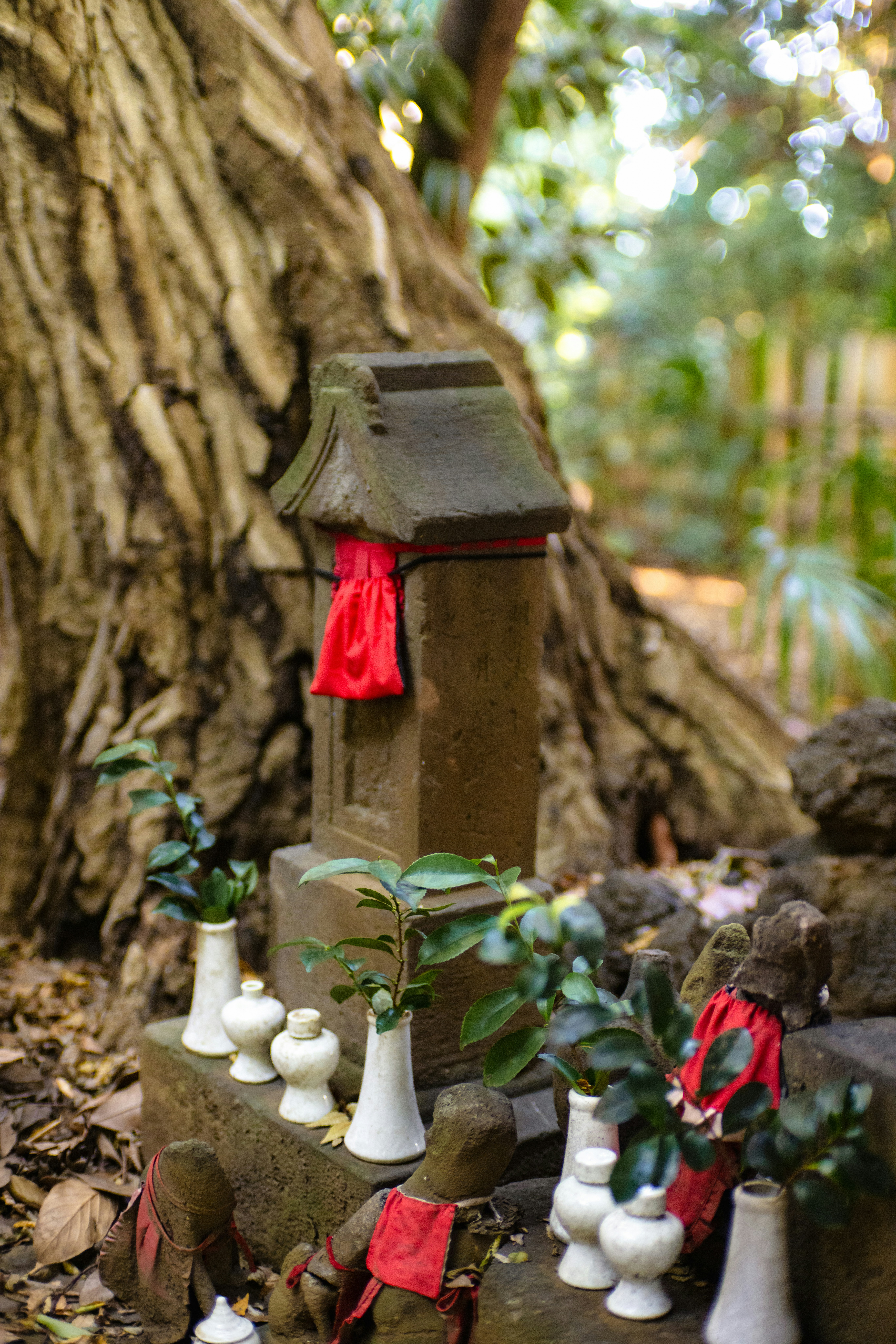 A group of vases sitting next to a tree