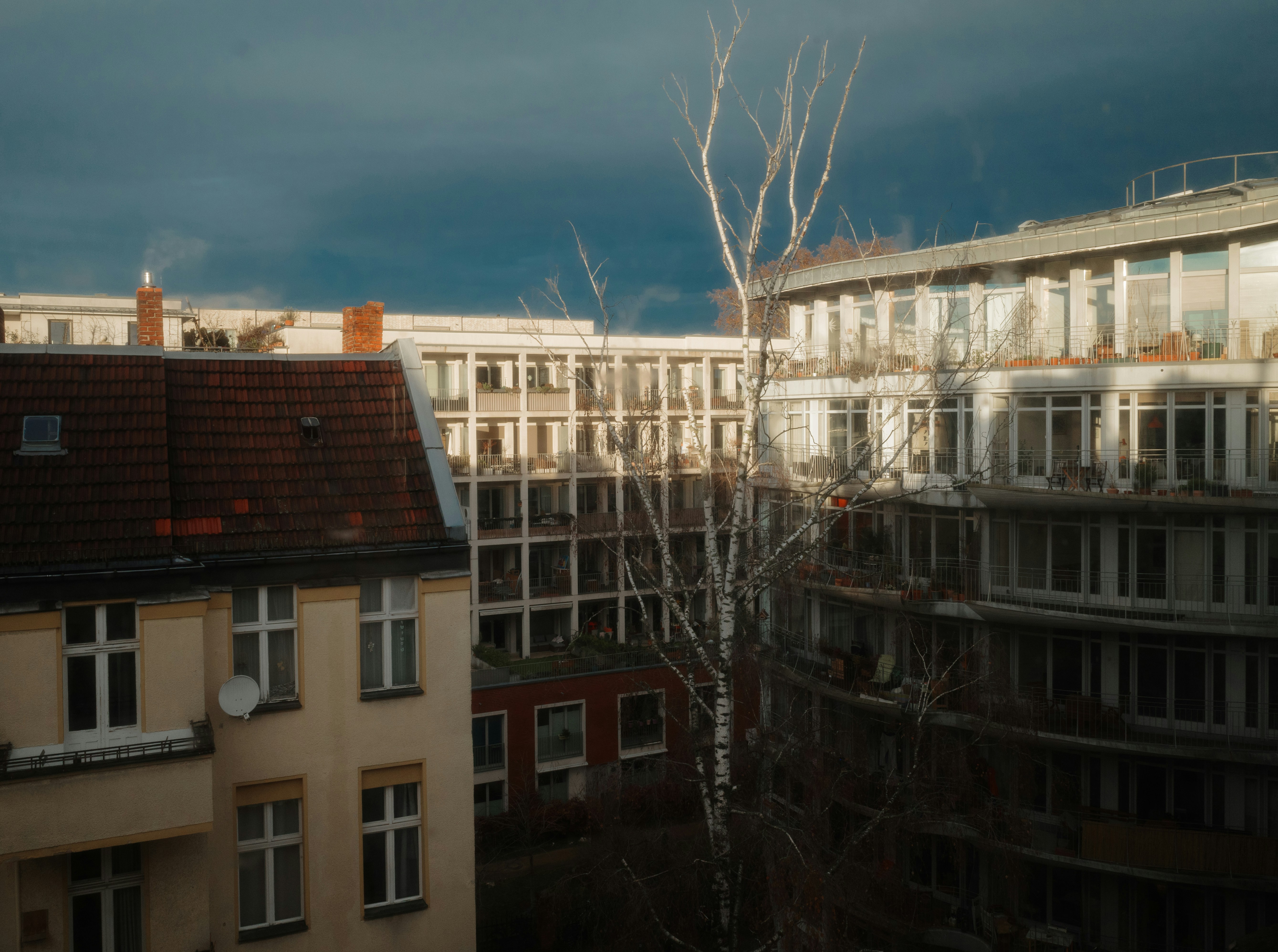 Birch Between Facades: Quiet Winter Light Over an Urban Courtyard