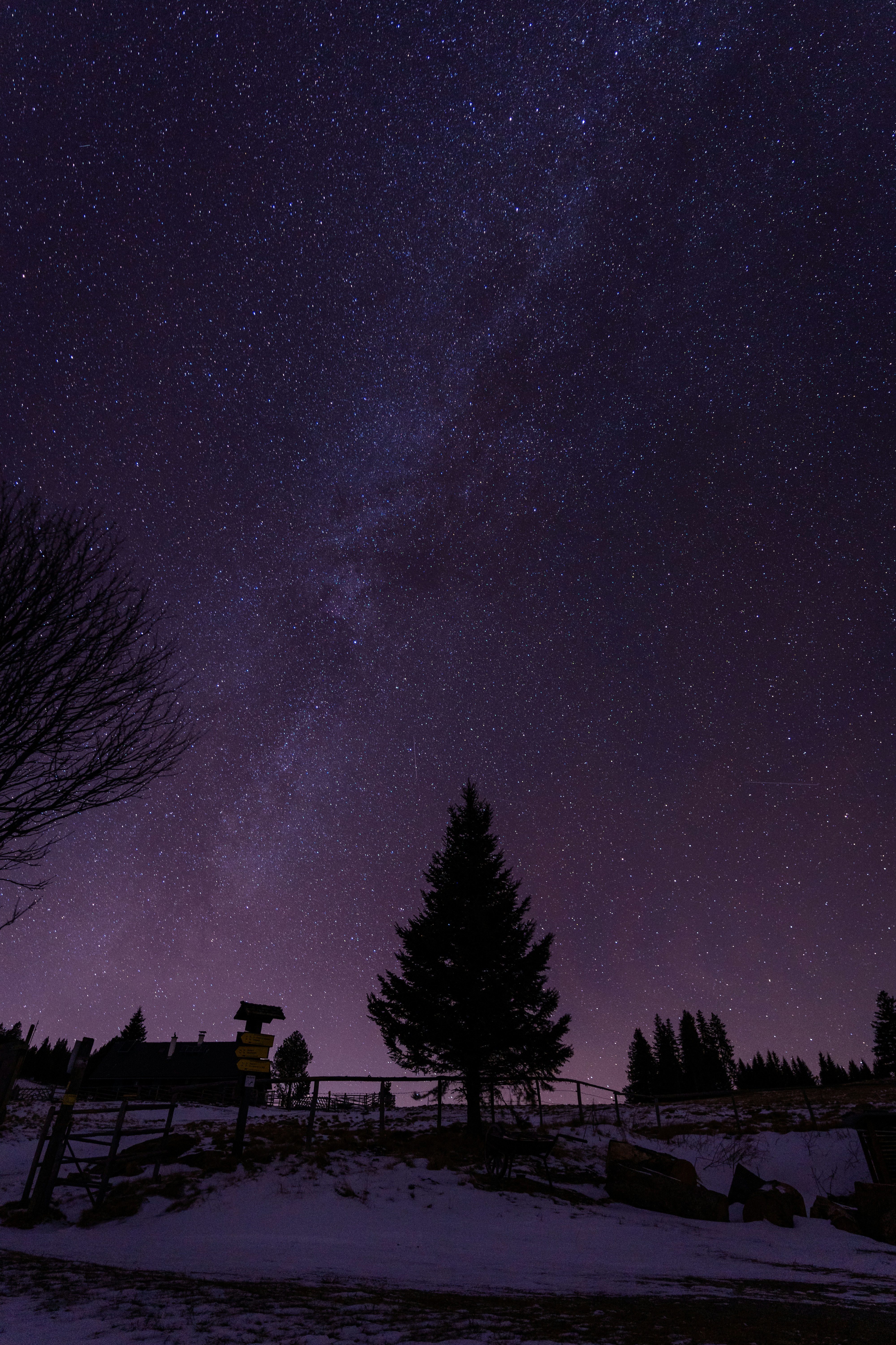 A serene winter night sky filled with countless stars, featuring a silhouette of a pine tree and a cabin in the foreground. The Milky Way stretches across the sky, creating a mesmerizing backdrop.