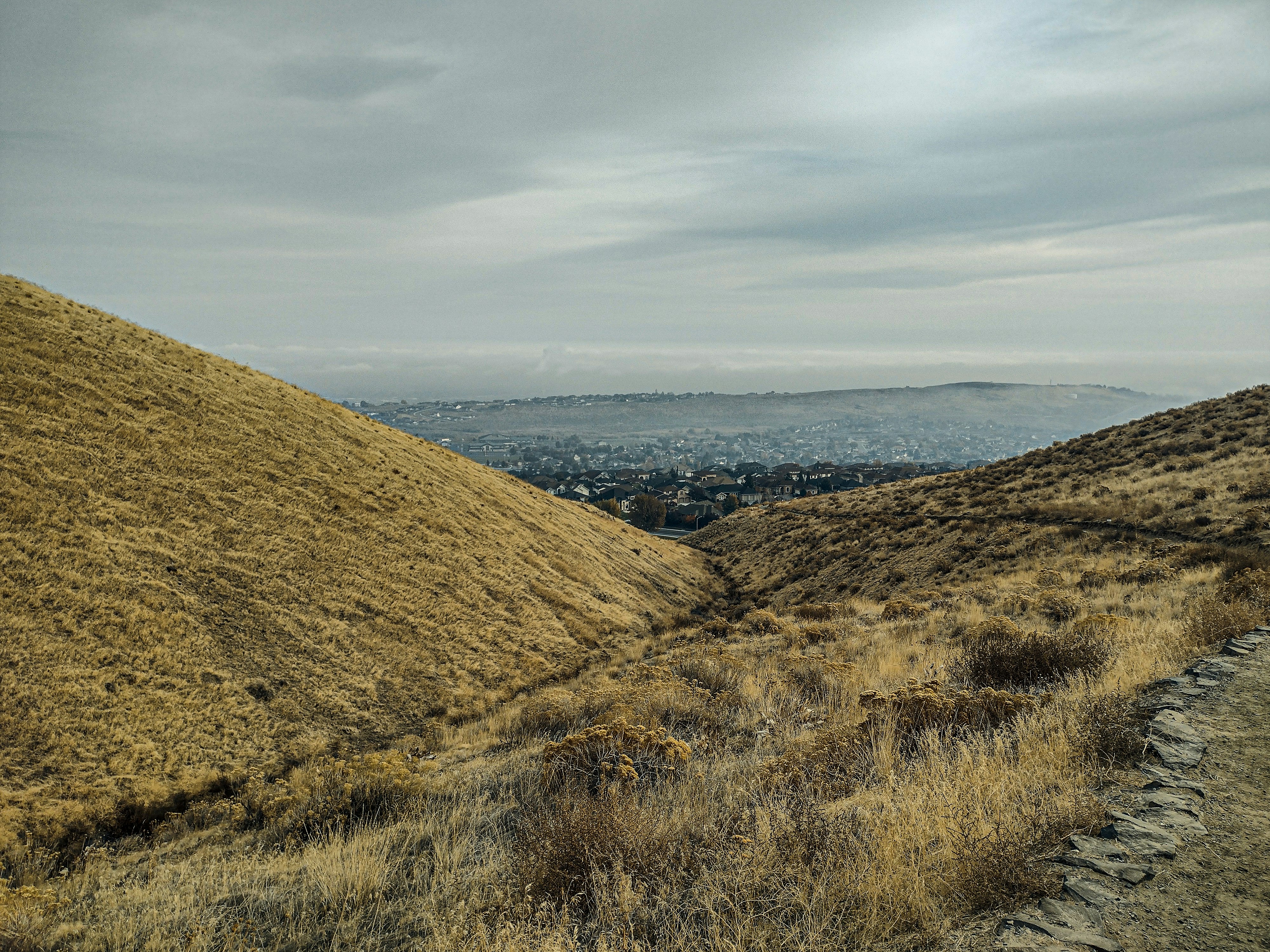 Photo by Peter Robbins with Motorola Moto G Power